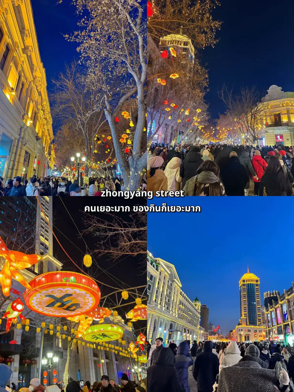 Harbin | แกลเลอรีที่โพสต์โดย Tangmo | Lemon8