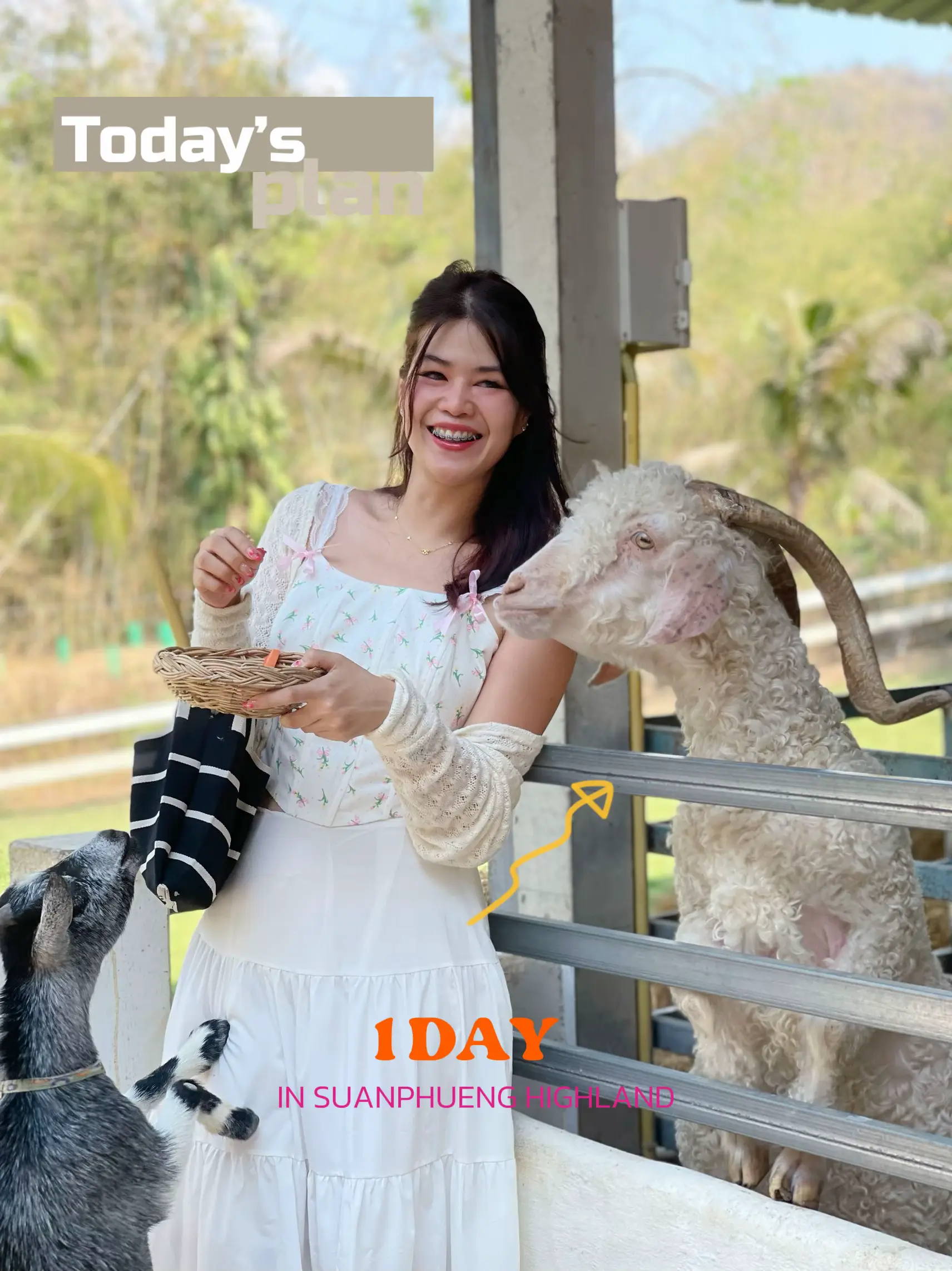 A day in Suanphueng Highland 🐴🐏🐓 | แกลเลอรีที่โพสต์โดย Nuii. 🌸 | Lemon8
