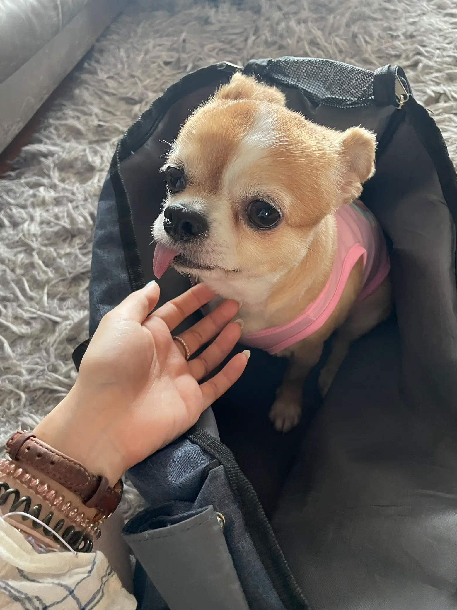 y2k ไปมั้ยค่า? โชว์ลิ้นทุกครั้งที่ถ่ายรูปเลยน้า! 🐶👅🤪 | แกลเลอรีที่โพสต์ ...