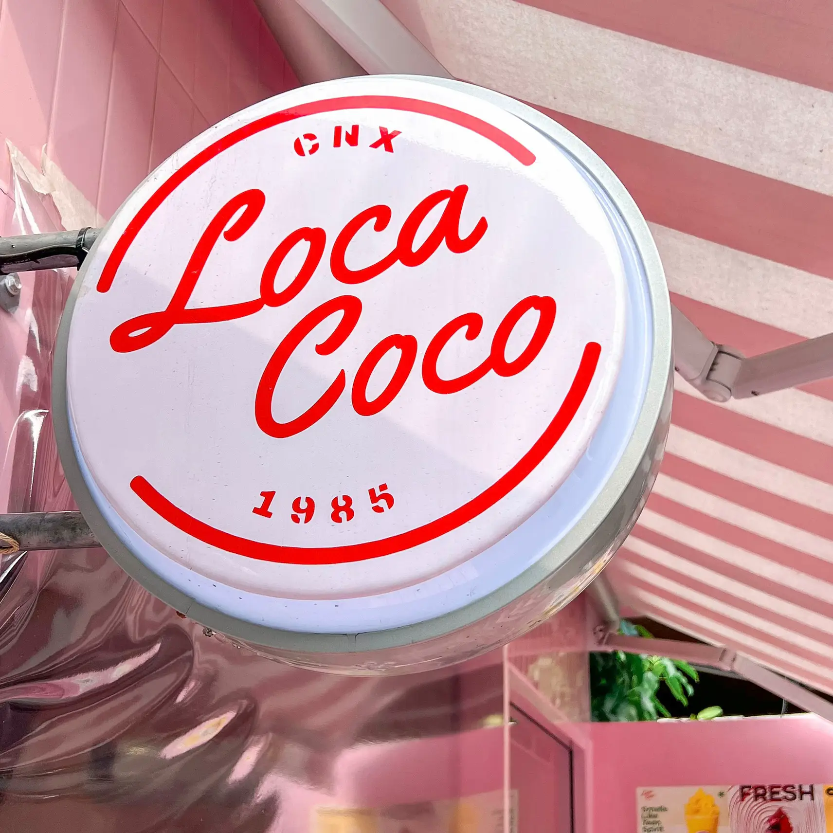 🍹 Loca Coco Smoothie & Juice #เชียงใหม่ | แกลเลอรีที่โพสต์โดย May’s ...