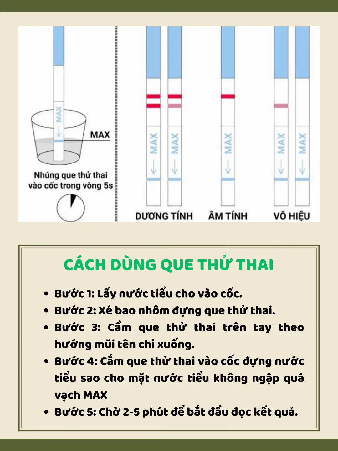 Đọc Kết Quả Que Thử Thai: Hướng Dẫn Chi Tiết và Những Điều Cần Biết