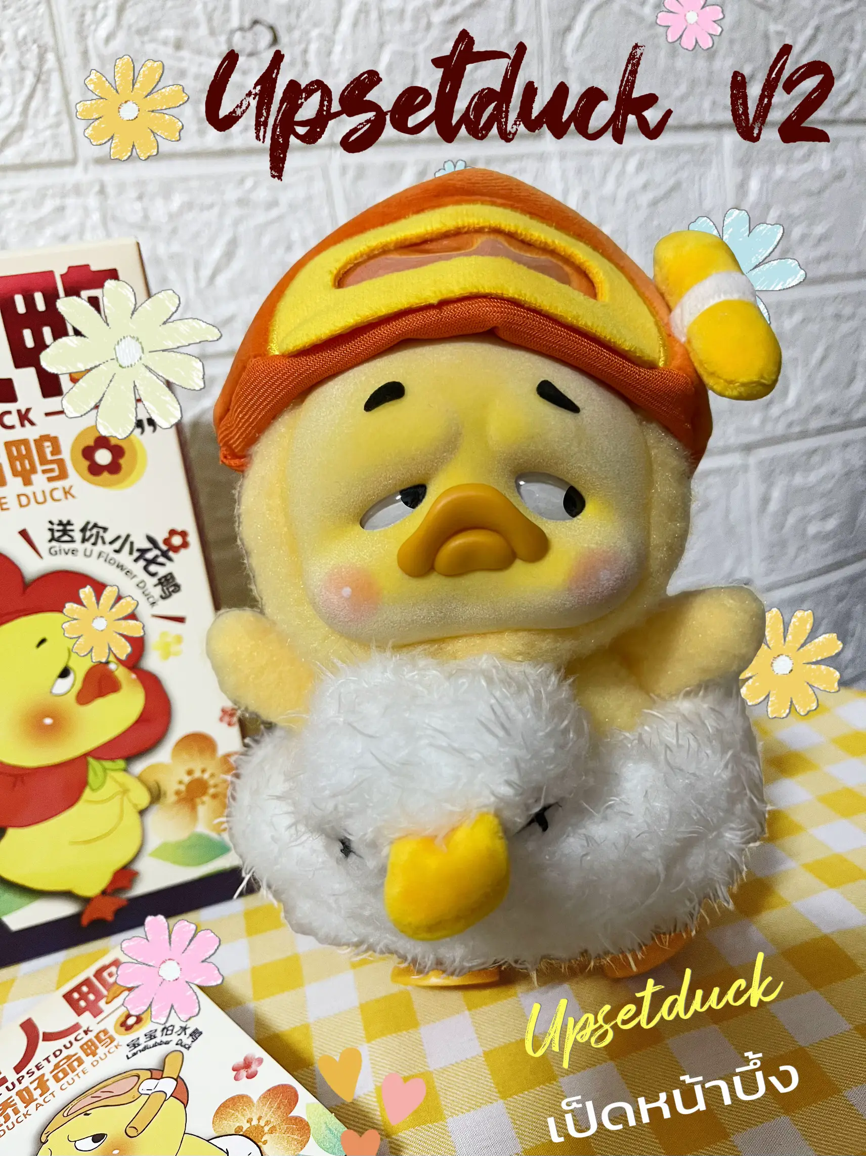 Upsetduck v2 | แกลเลอรีที่โพสต์โดย อิง อิง | Lemon8
