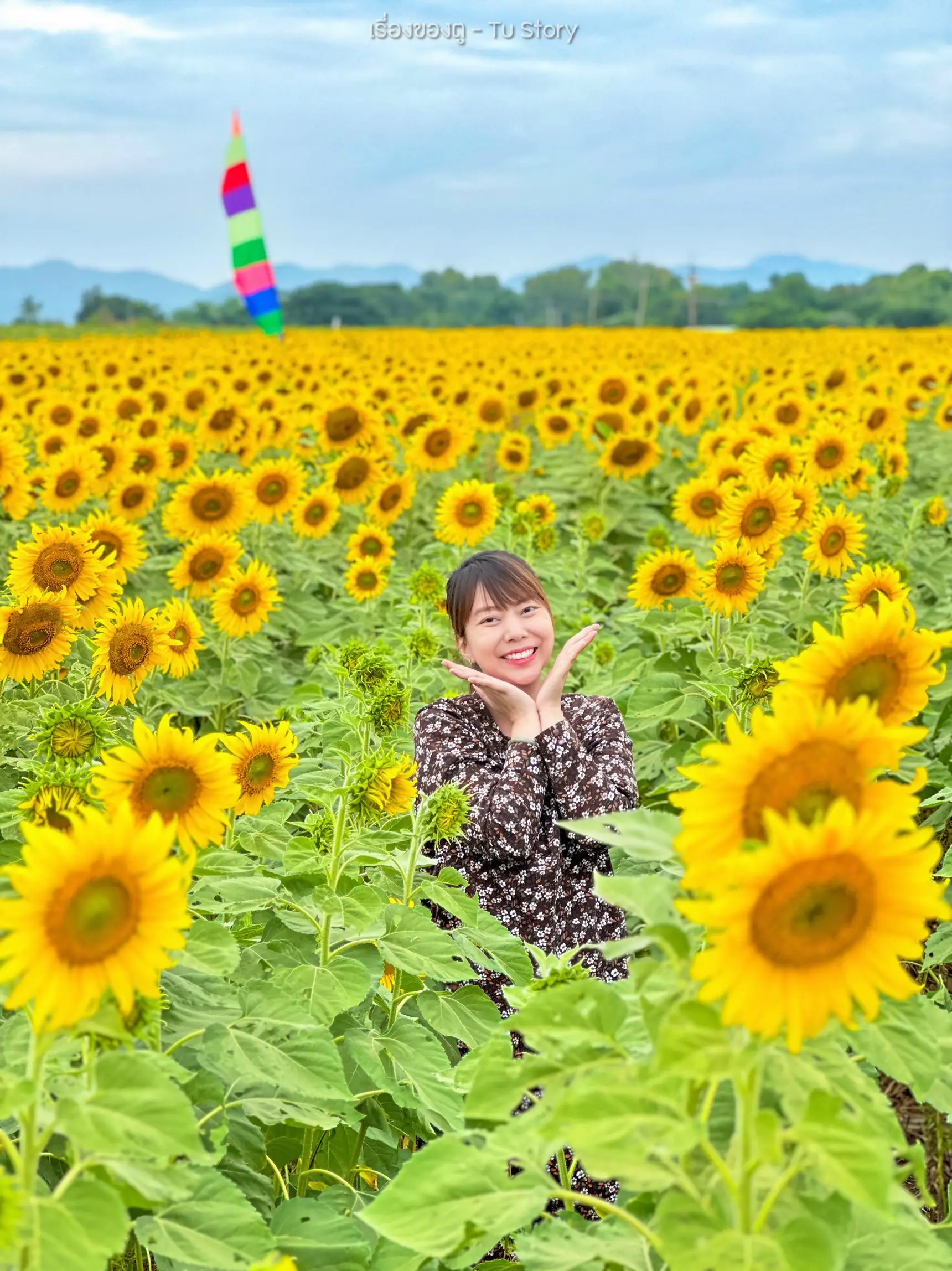 🌻 A trip to the sunflower fields on a day without a bad day! 🌞 ...