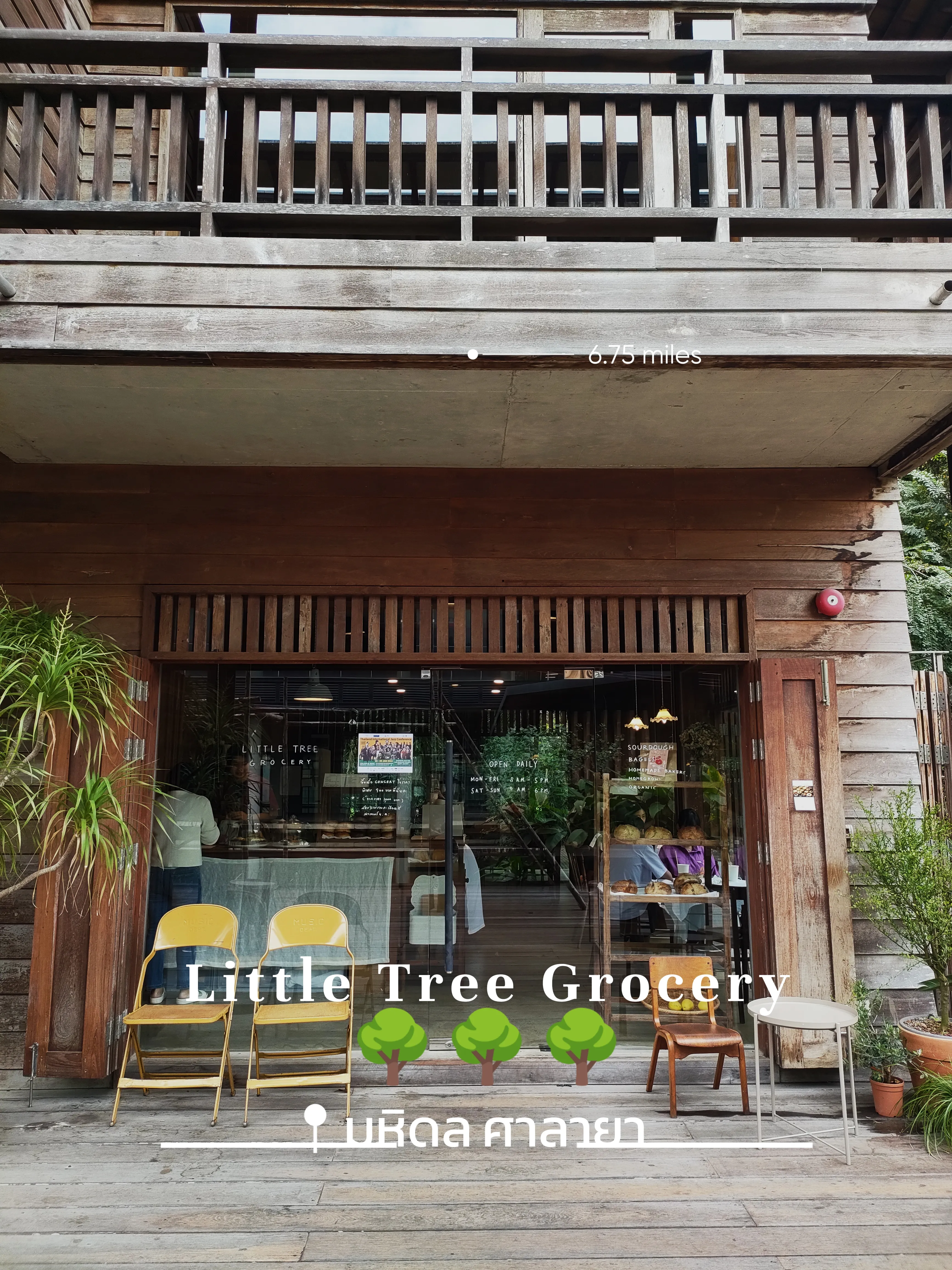 ที่นั่งมหิดลสิทธาคาร - การค้นหาใน Lemon8