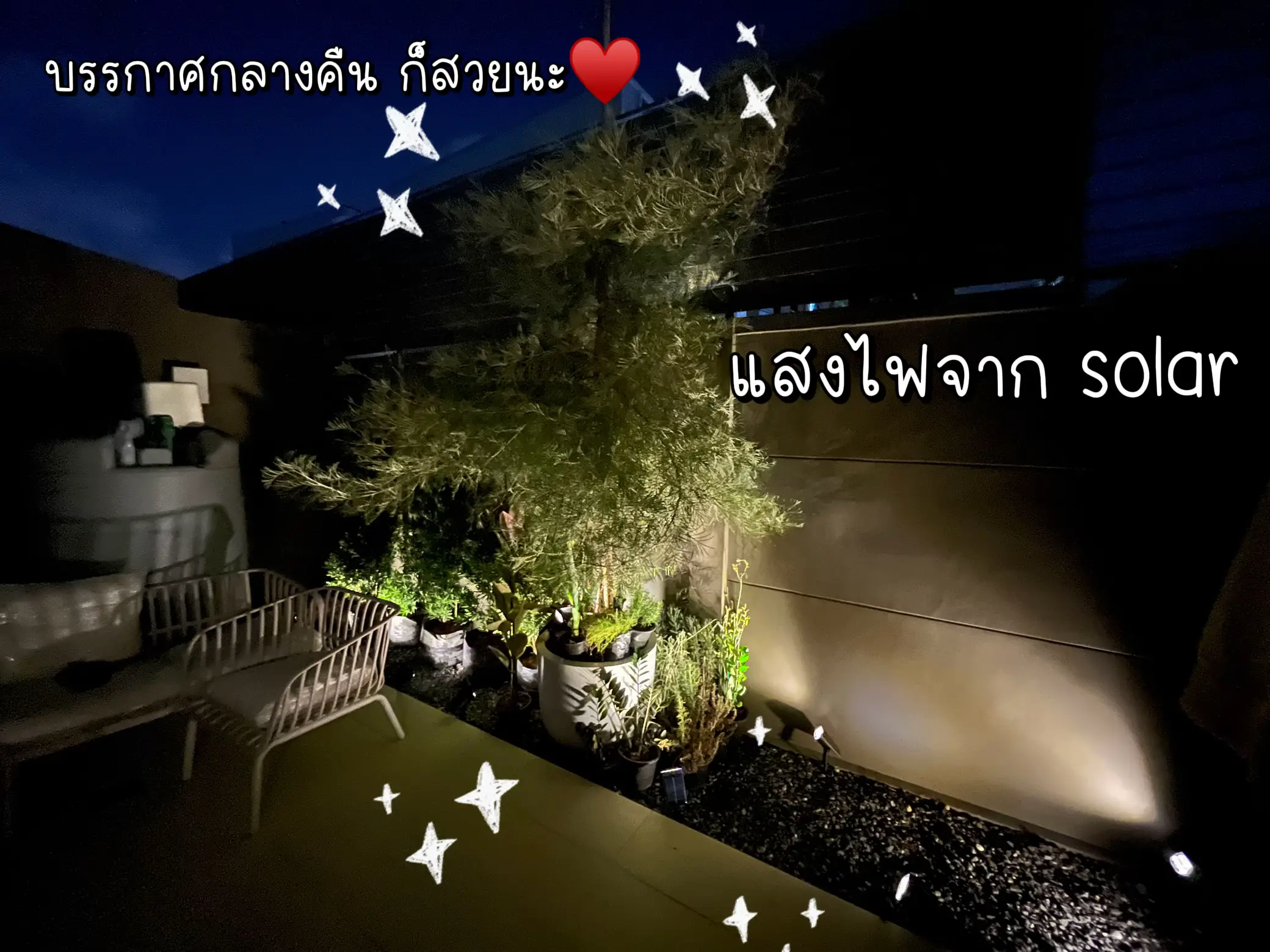 ทาวน์โฮม ไม่ต่อเติม ก็ทำสวนเล็กๆน่ารักได้นะ | แกลเลอรีที่โพสต์โดย Moobin Cuddle | Lemon8