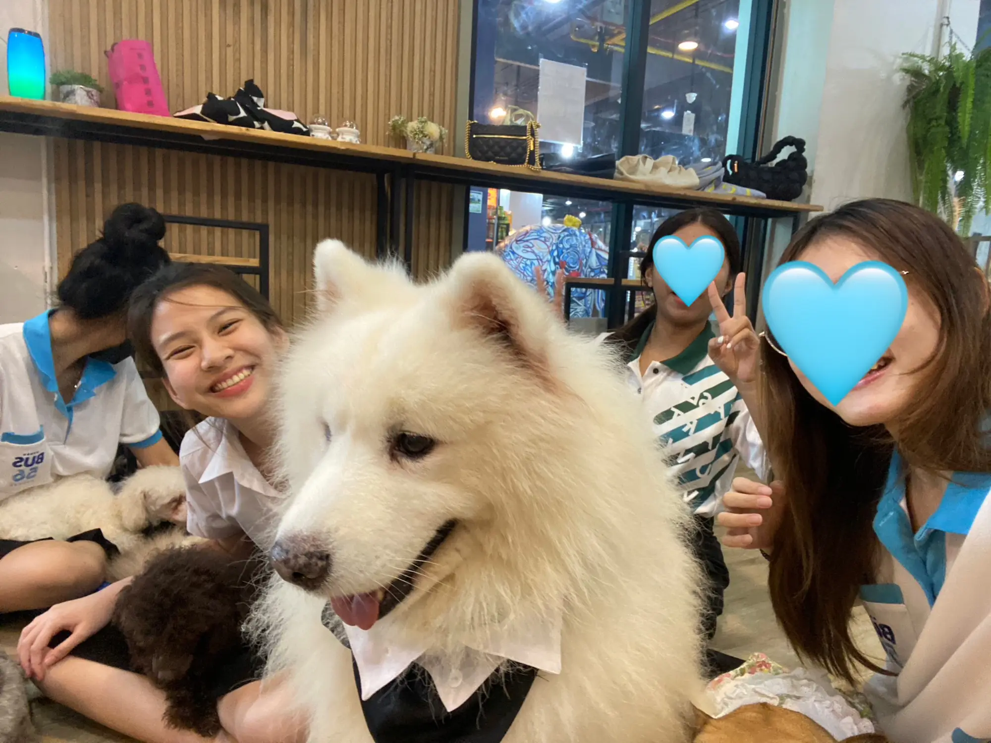 dog country cafe สาขาmixt จตุจักร 🐶 | แกลเลอรีที่โพสต์โดย อินฟลูฟรุ้งเฟ้อ | Lemon8