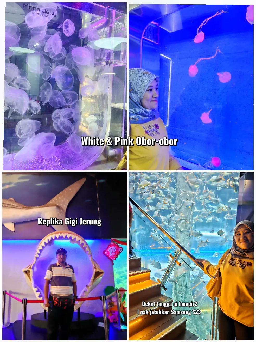 Aquriaklcc - Carian Lemon8