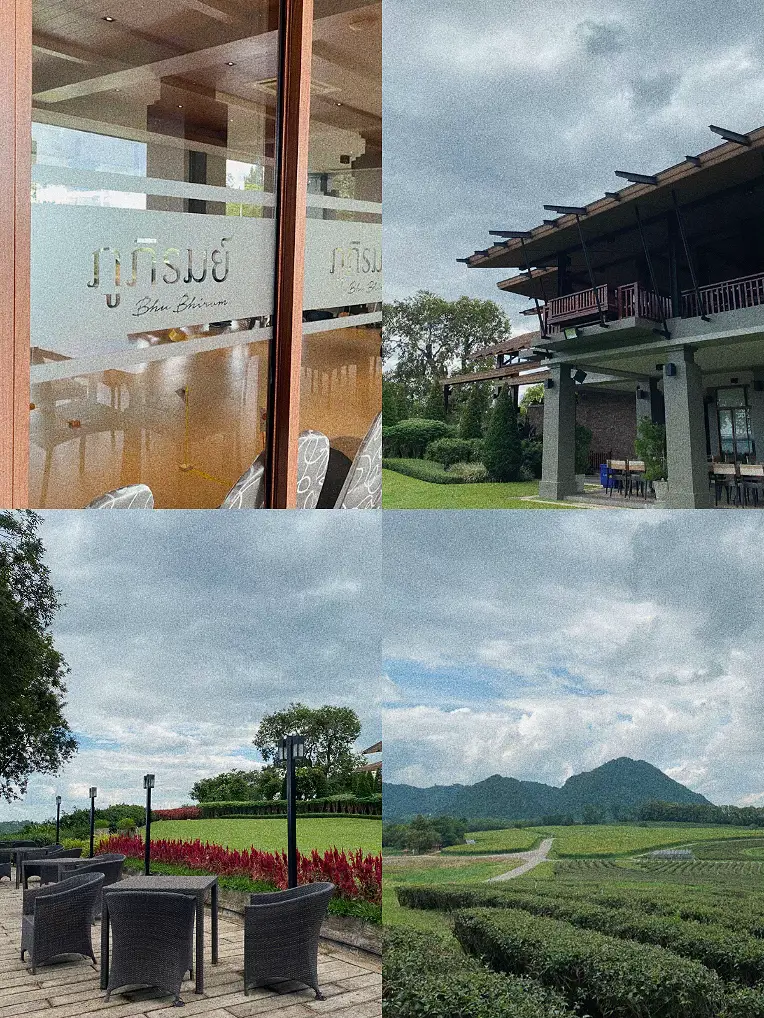 มาเชียงราย ห้ามพลาด!! “Singha Park Chiang rai” | แกลเลอรีที่โพสต์โดย ...