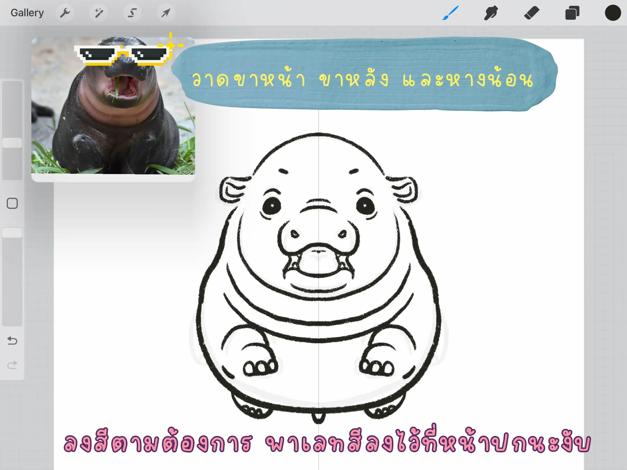 How to draw MooDeng 🦛 | แกลเลอรีที่โพสต์โดย Ben Ja Rito | Lemon8