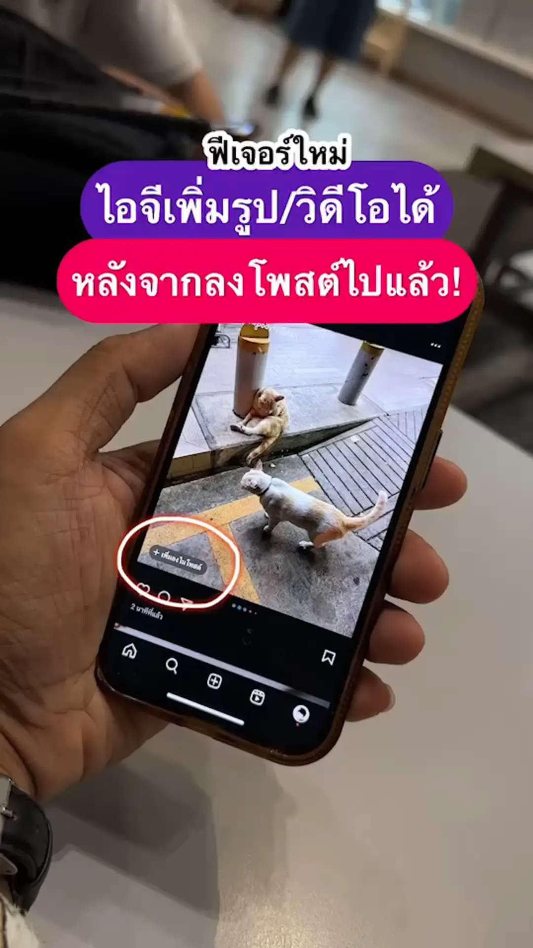 I'm your sweetheart, right? Shall I have my name in my will? 🥹 | Video published by punpromotion ...