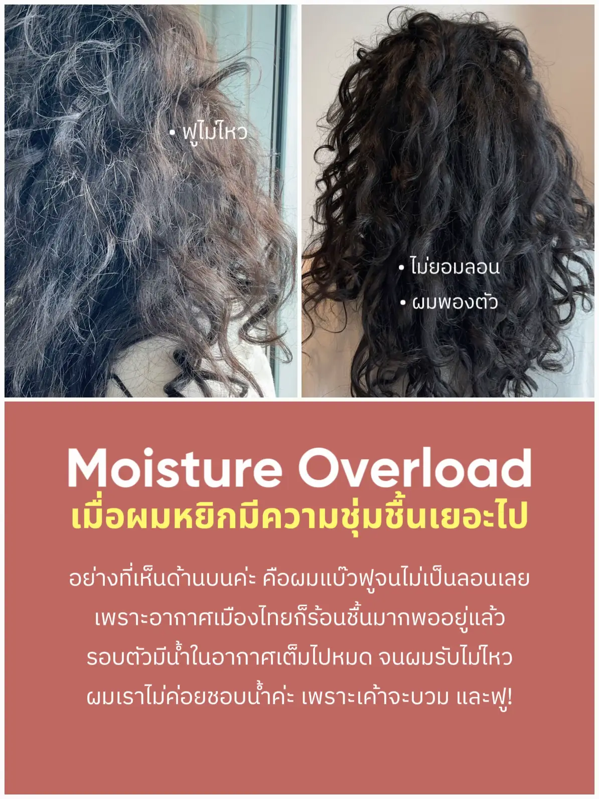 ผมหยิก 101 • ผมเราไม่ได้ต้องการความชุ่มชื้นขนาดนั้น💦 | แกลเลอรีที่โพสต์โดย Shallweglow | Lemon8