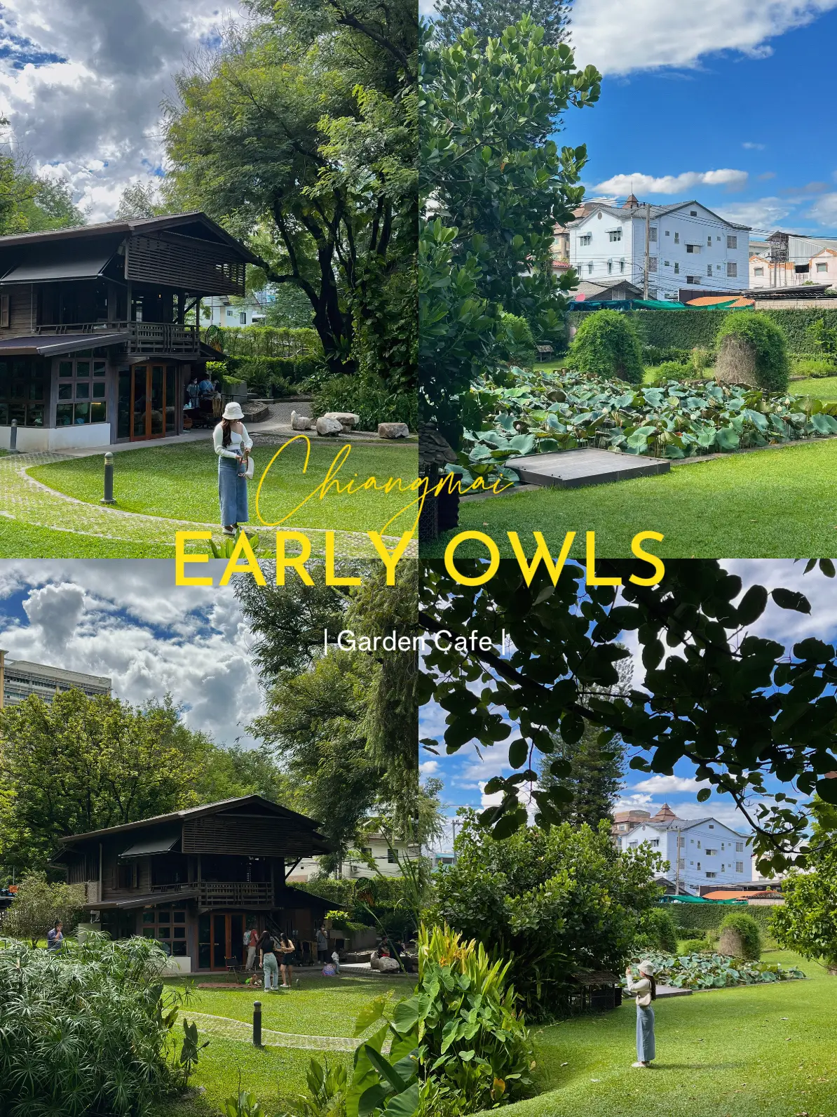 Early Owls | CNX Garden Cafe ฮีลใจ สัมผัสธรรมชาติ🦉 | แกลเลอรีที่โพสต์ ...