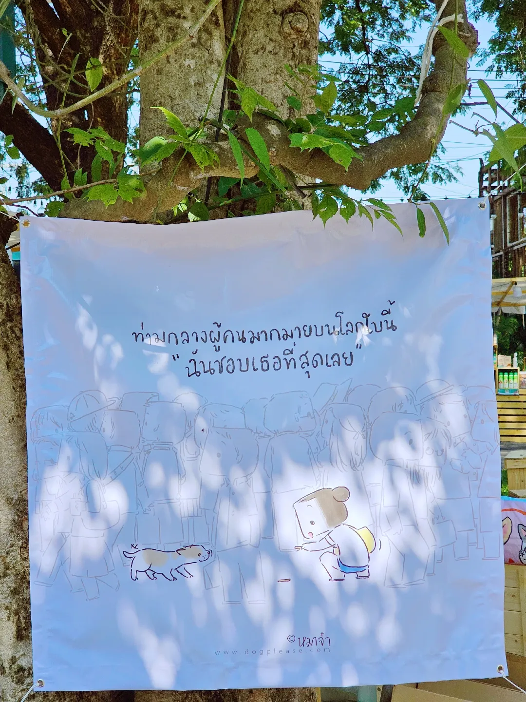 งานครบรอบ 10 ปีหมาจ๋า ที่ช่างชุ่ย 3 ห้ามพลาด 🥰 | แกลเลอรีที่โพสต์โดย ...