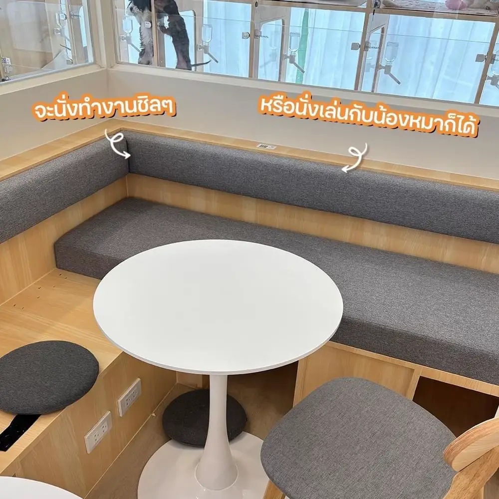 พาเที่ยว คาเฟ่น้องหมาสายเกา 🦮💘 | แกลเลอรีที่โพสต์โดย Proxumer | Lemon8