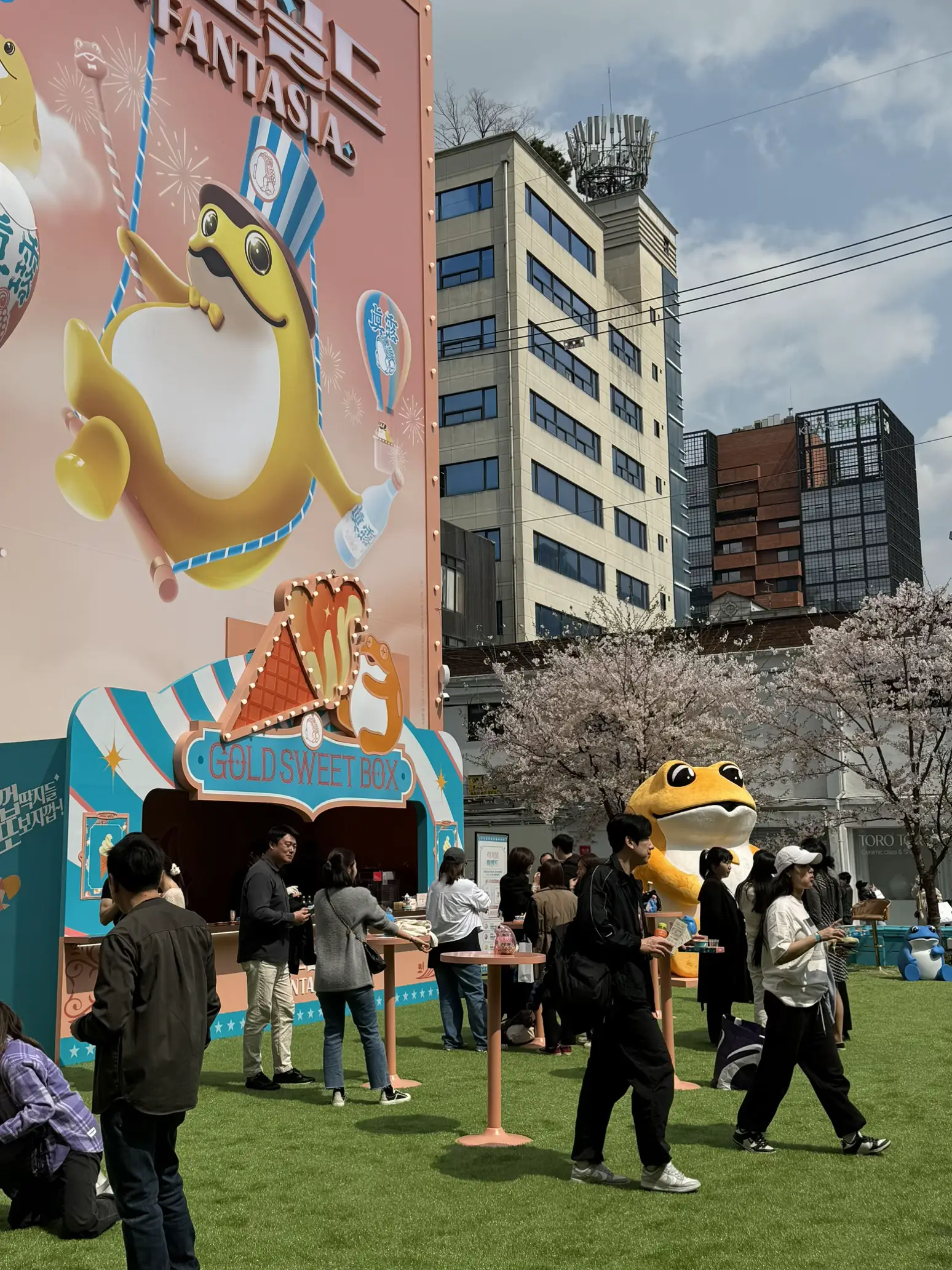 19 top Jinro Popup ideas in 2024