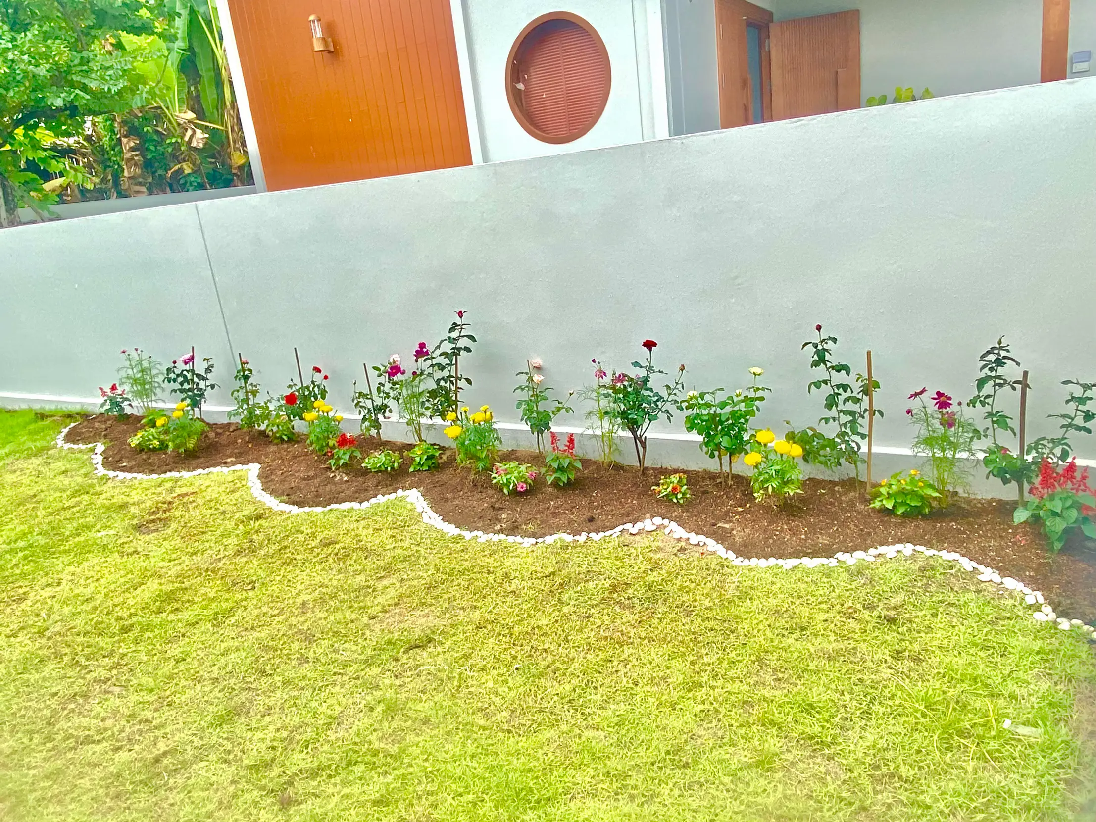 มือใหม่ | แกลเลอรีที่โพสต์โดย Nam Mon | Lemon8