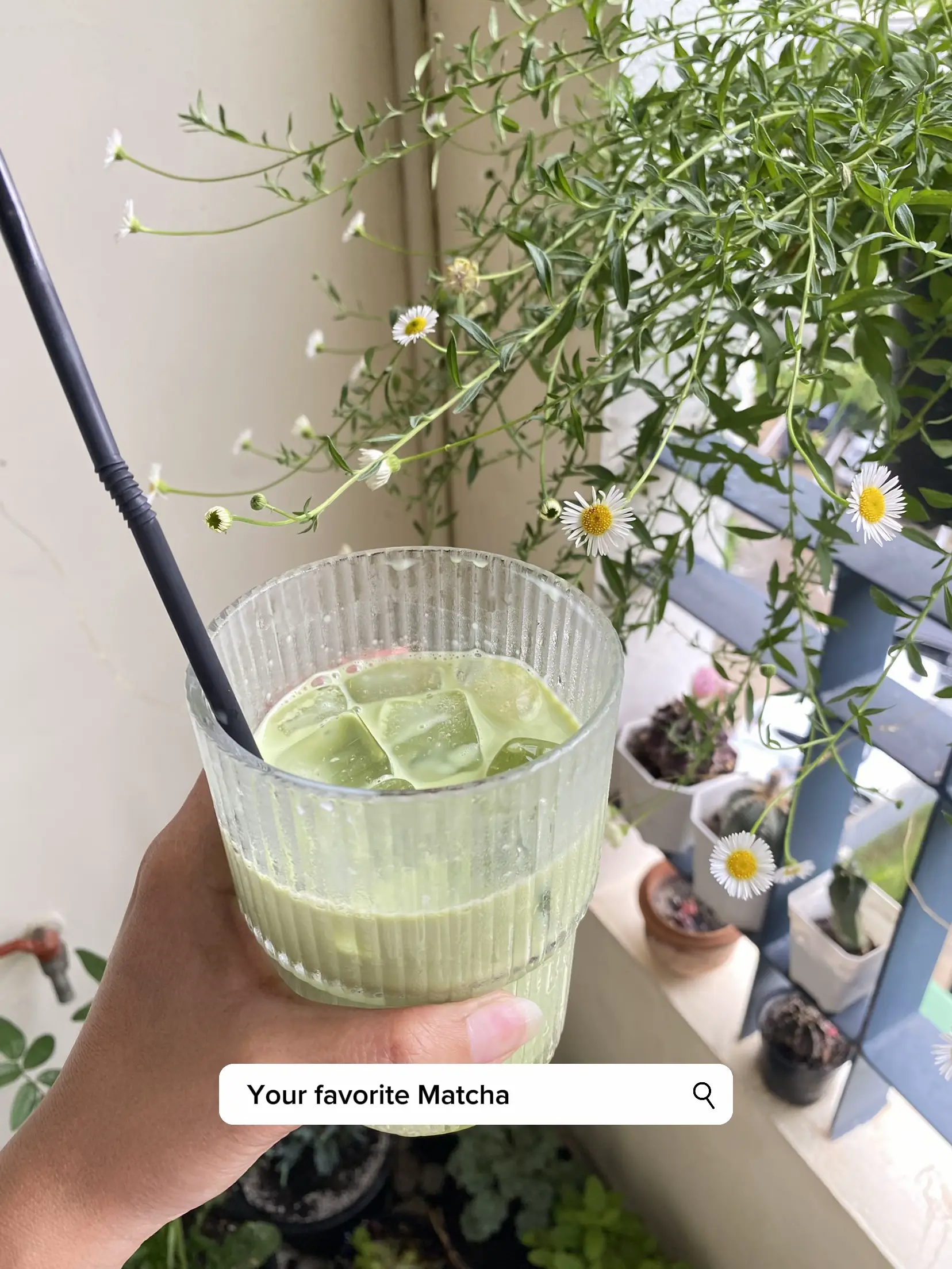 Home Garden อัพเดทสวนริมระเบียง | แกลเลอรีที่โพสต์โดย Som-o Sasima | Lemon8