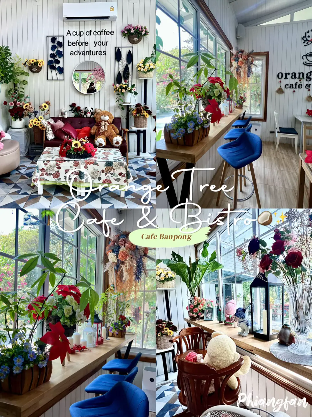 Orange Tree Cafe & Bistro คาเฟ่บ้านโป่ง จ.ราชบุรี | แกลเลอรีที่โพสต์โดย ...
