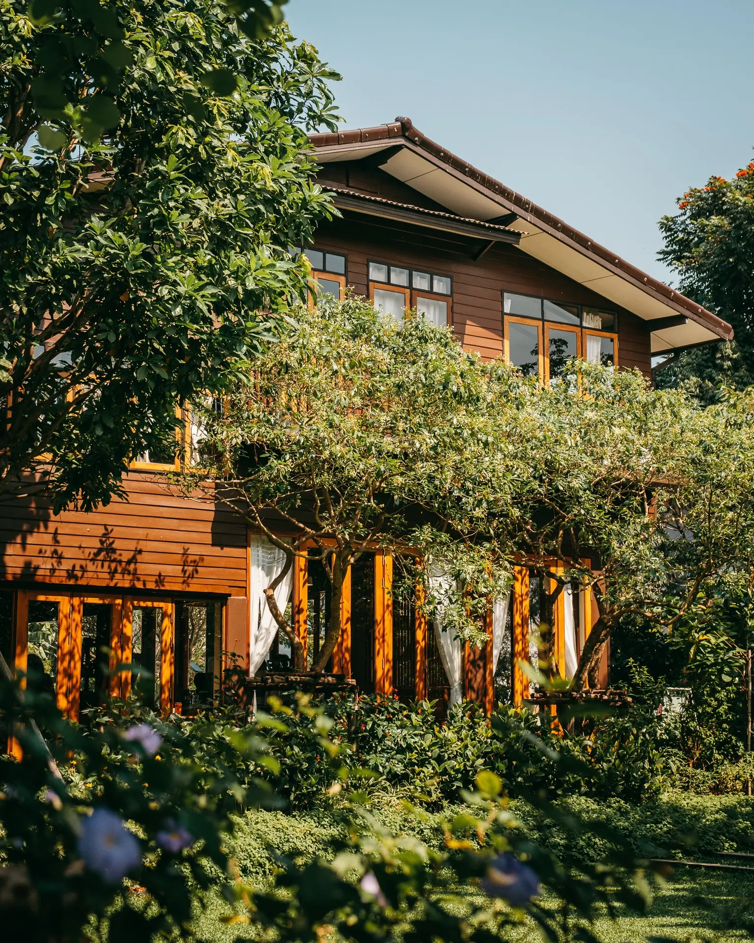 Tavy’s Homeโฮมคาเฟ่ท่ามกลางสวนสีเขียวแสนสงบร่มรื่น บางจาก | แกลเลอรีที่ ...