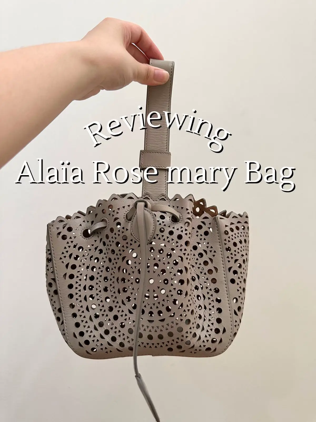 Reviewing Alaïa Rose Mary bag😋 | Galeri diposting oleh Nanalit | Lemon8