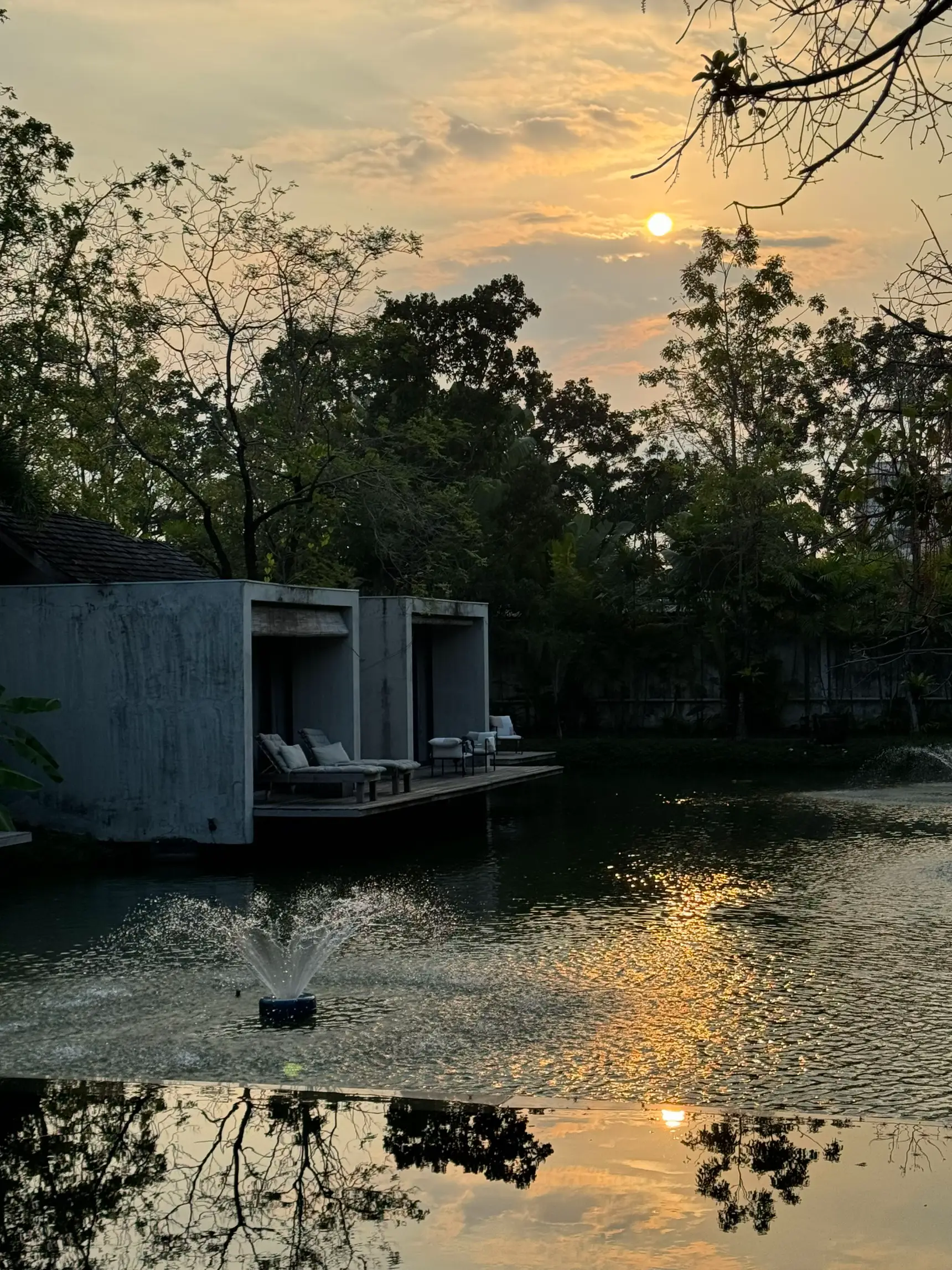 COCOON hidden gem ย่านบางนาที่เหมือนวาร์ปไปตจว! | แกลเลอรีที่โพสต์โดย ...