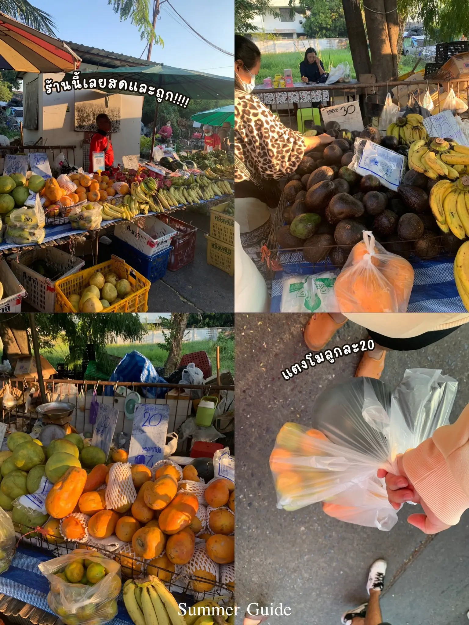 สายชิลล์มาทางนี้! 🌅 เดินตลาดเช้า ริมบึงแจ้งวัฒนะ 14 | แกลเลอรีที่โพสต์โดย Summer Guide | Lemon8