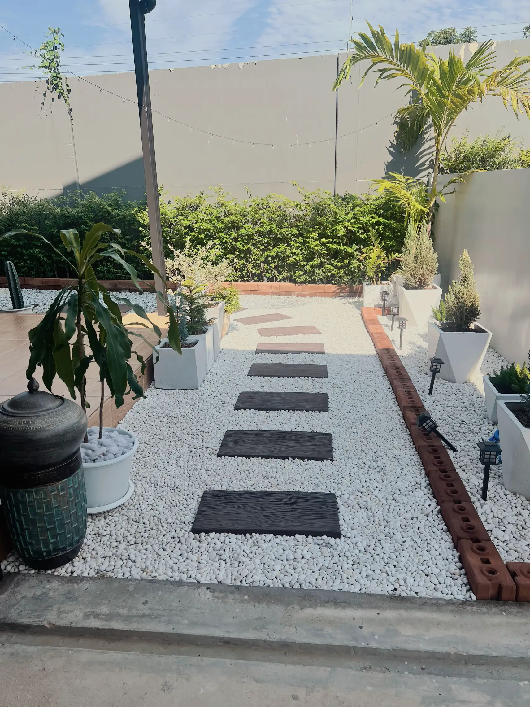 รีวิว สวนข้างบ้าน 🥦🪴🍂 | แกลเลอรีที่โพสต์โดย Pla._.Boo | Lemon8