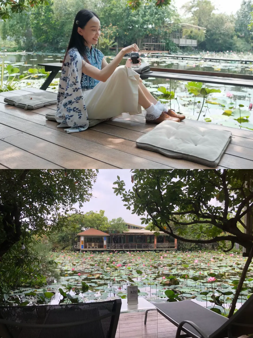 Thammachadocha ธรรมชาติโอชา | แกลเลอรีที่โพสต์โดย Meixing | Lemon8