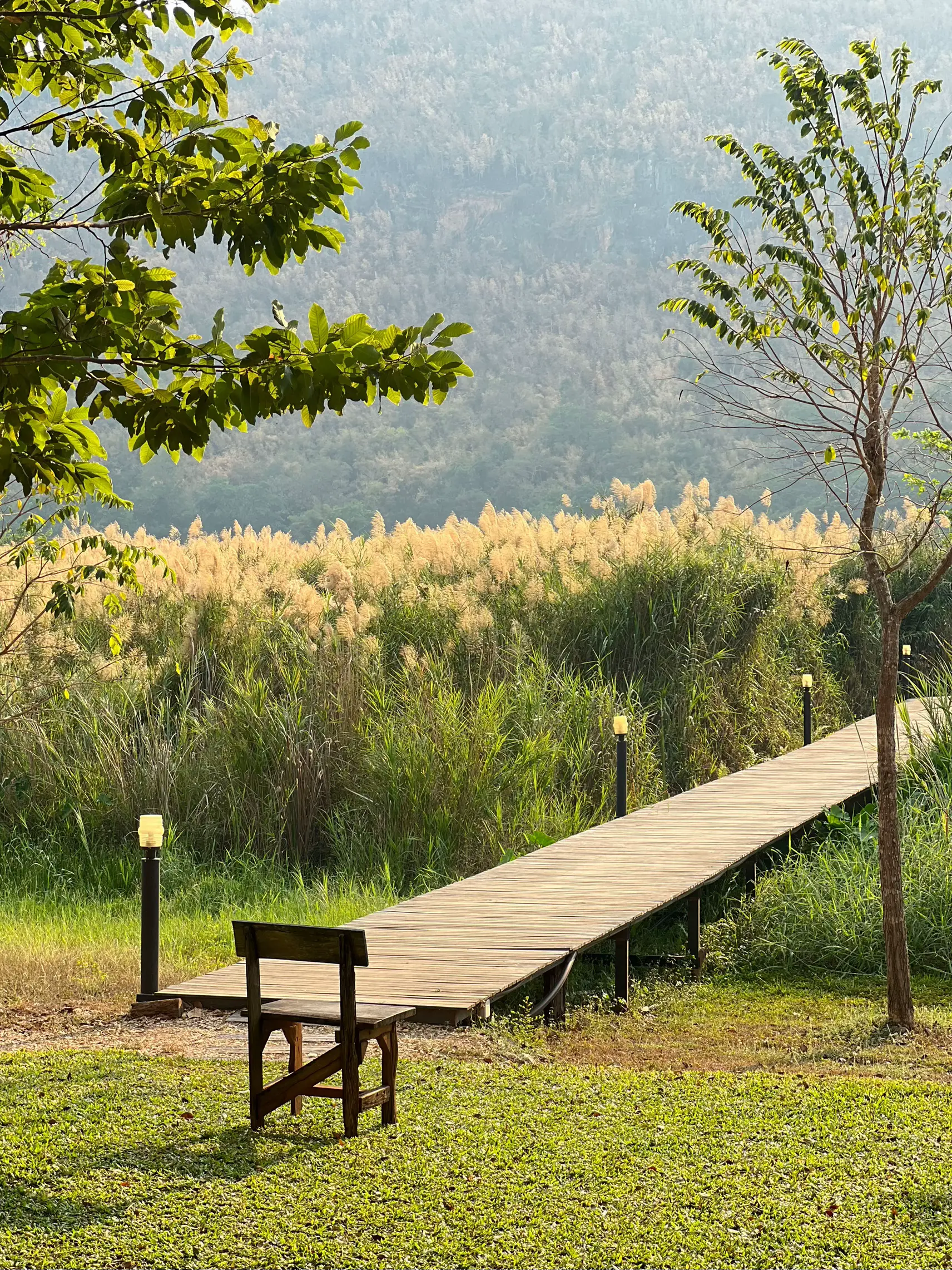 คาเฟ่ใกล้กรุง ฟีลต่างประเทศ | แกลเลอรีที่โพสต์โดย Katuii of Story | Lemon8