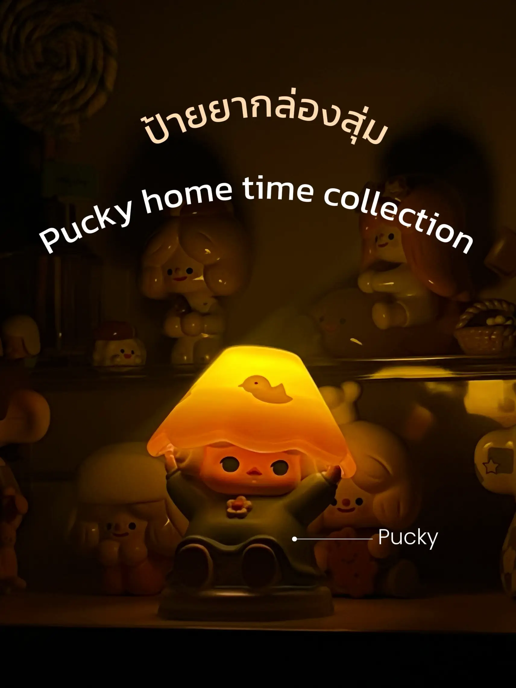 กล่องสุ่ม Pucky home time | แกลเลอรีที่โพสต์โดย LuckyS. | Lemon8