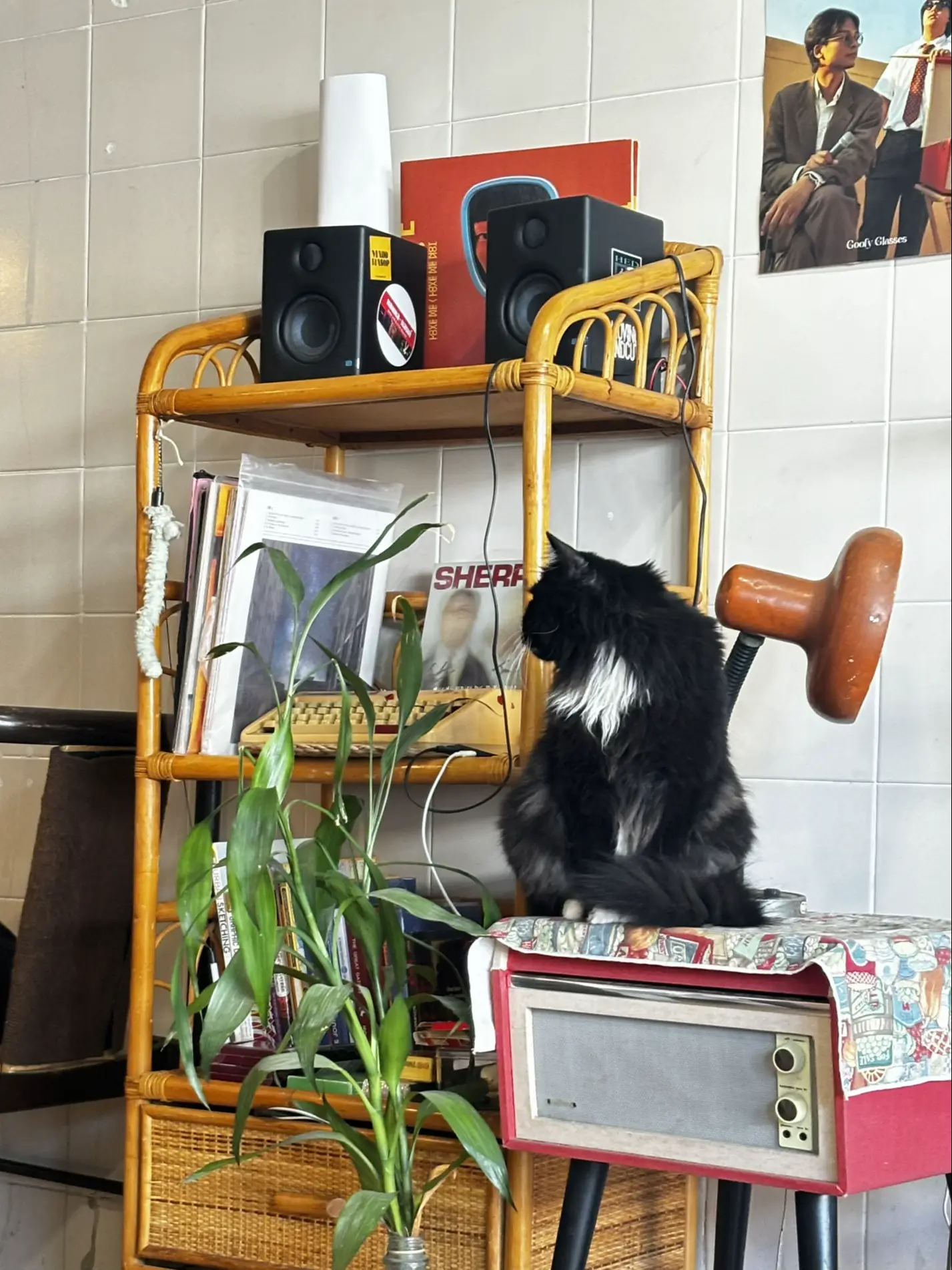 คาเฟ่ศาลายา | แกลเลอรีที่โพสต์โดย Pareploy 💖 | Lemon8