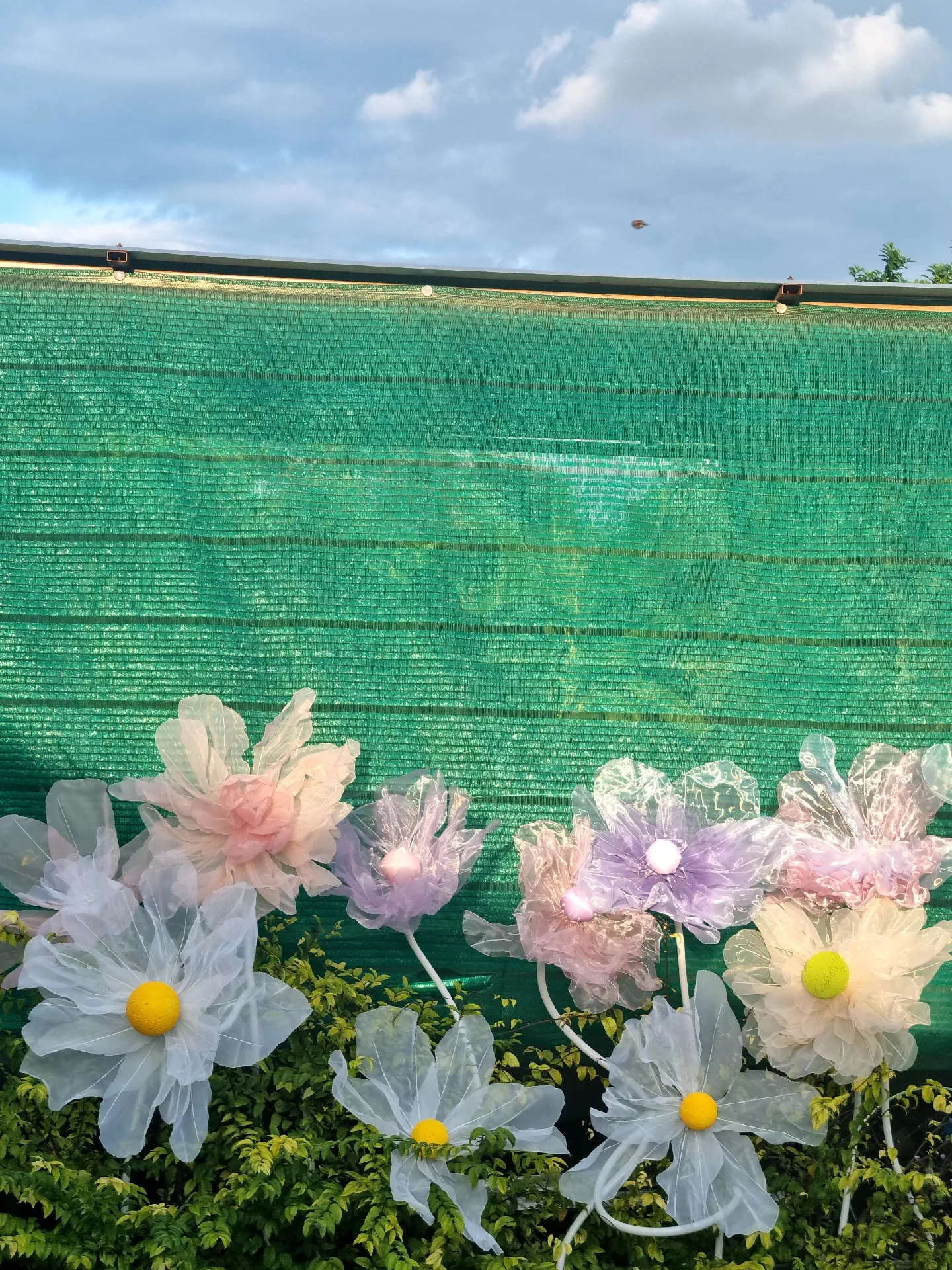 ก้ามปูท่อ Pvc - การค้นหาใน Lemon8