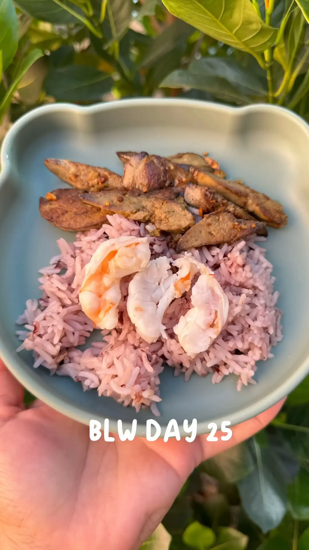 BLW DAY 25 วัย 7 เดือน วันนี้ท | วิดีโอที่เผยแพร่โดย Warasis | Lemon8