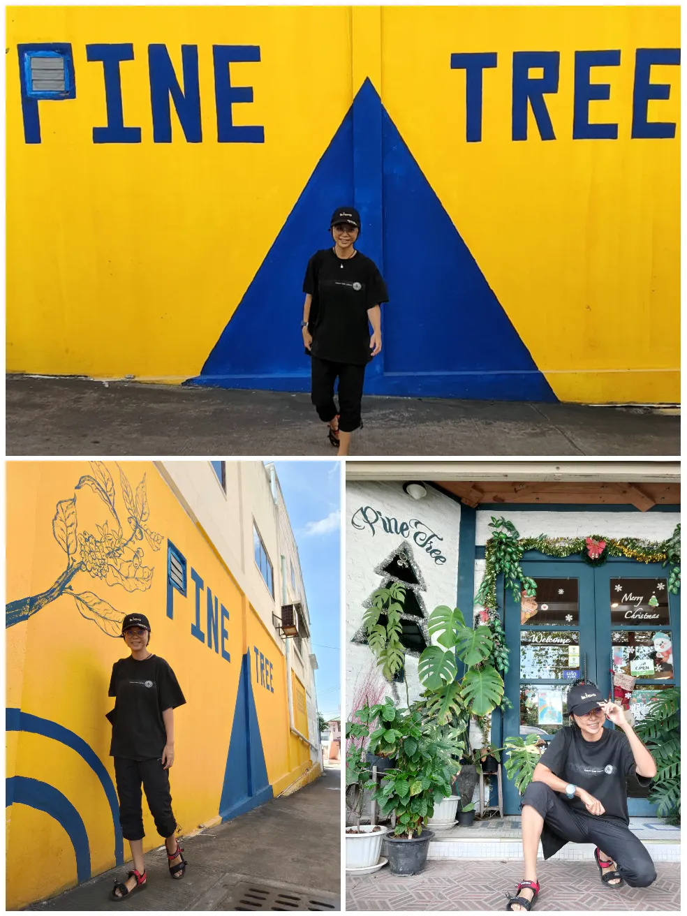 Pine Tree คาเฟ่ลับชลบุรีของ ☕ Coffee Lover 🌲🌲🌲🌲 | แกลเลอรีที่โพสต์โดย ...