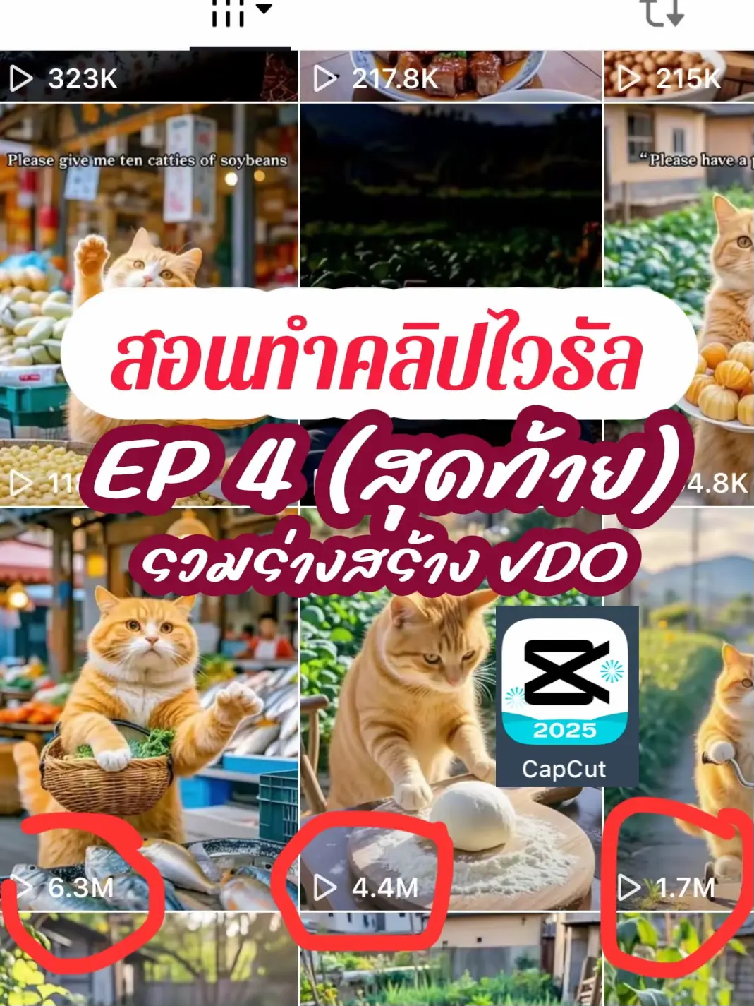 ทดลองใช้capcut ฟรี | 2025 ประสบการณ์ผู้ใช้จริงบน Lemon8