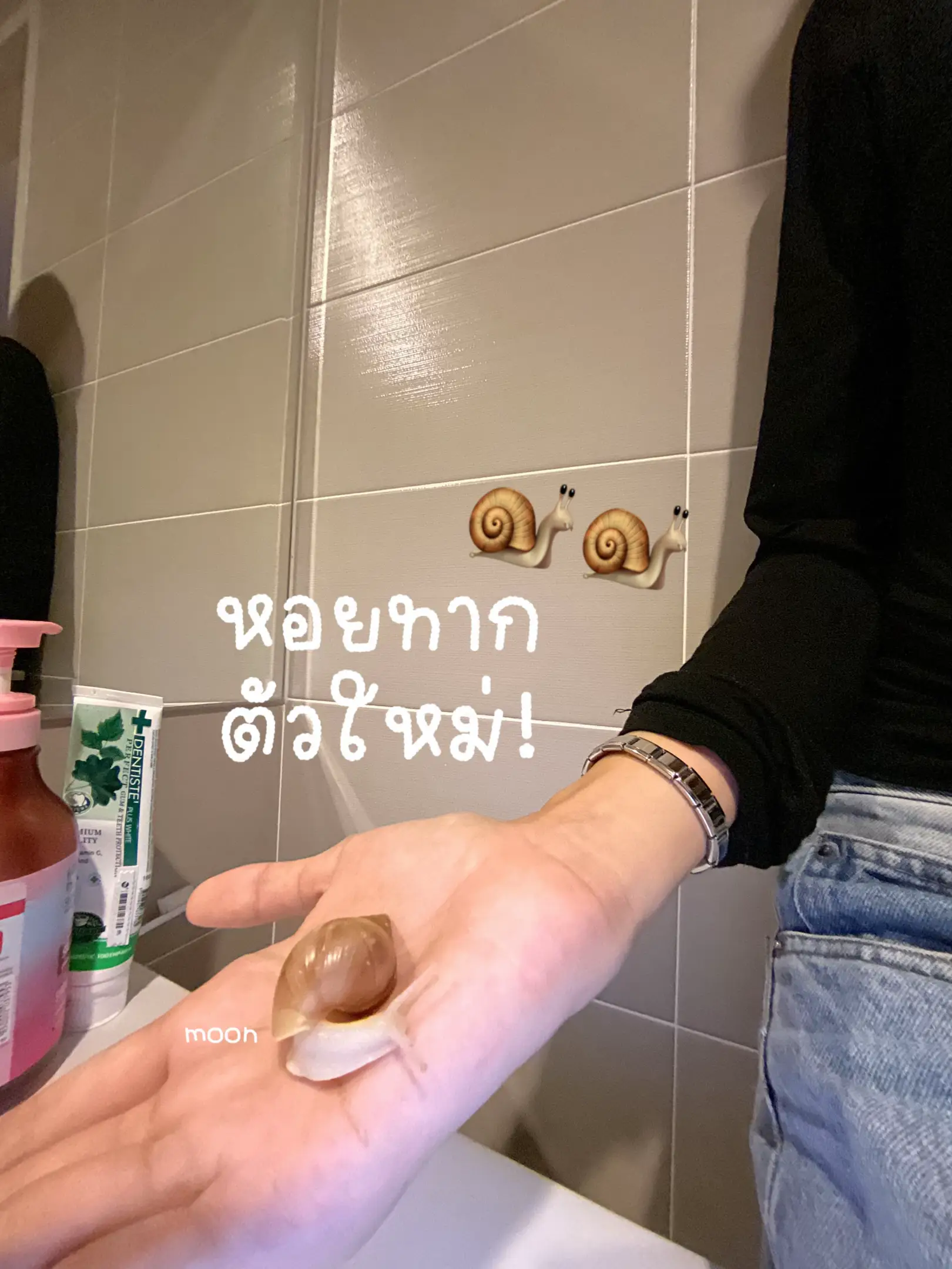 หอยทากตัวใหม่! | แกลเลอรีที่โพสต์โดย bell | Lemon8