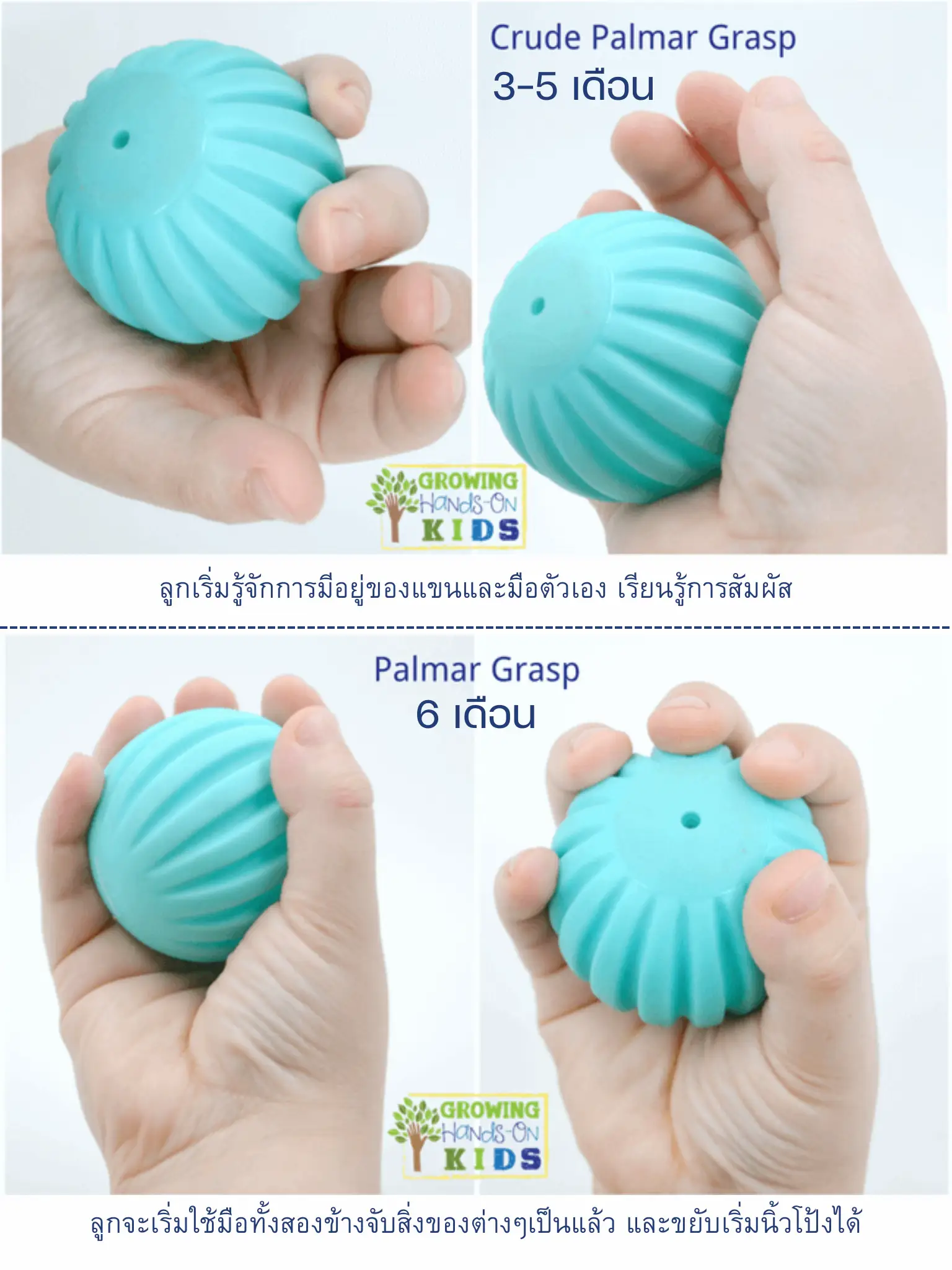 แจกใบงานลากเส้นตามรอยประ และระบายสีให้สวยงสม | แกลเลอรีที่โพสต์โดย Nidnice_ms | Lemon8