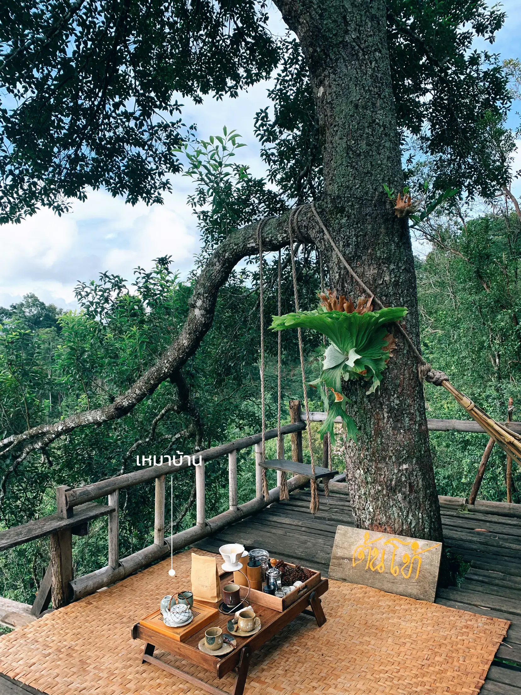 NAN | บ้านต้นเมี่ยง โฮมสเตย์ ดอยสกาด | แกลเลอรีที่โพสต์โดย Opalnaphat | Lemon8