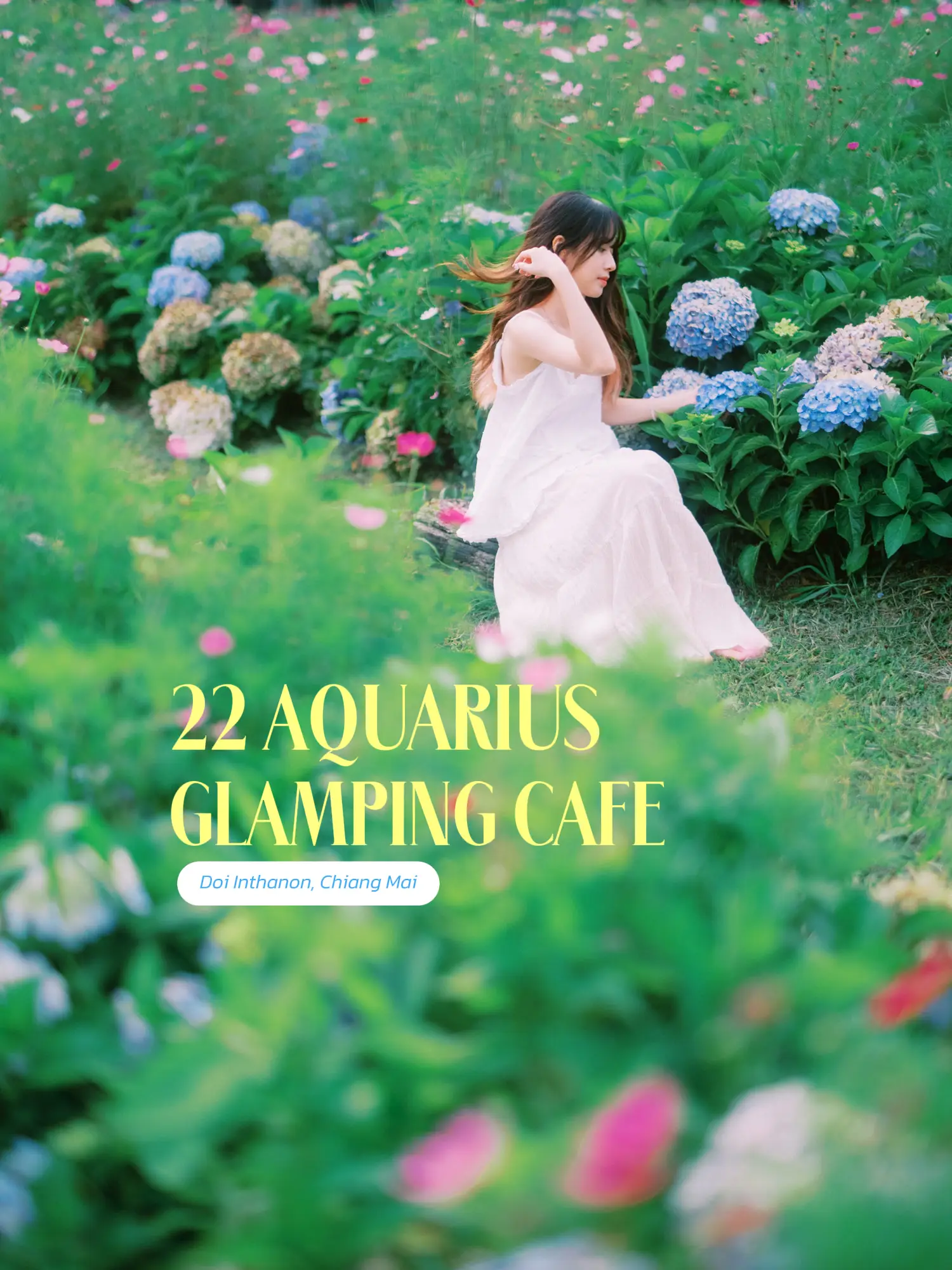 คาเฟ่ดอยอินทนนท์ | แกลเลอรีที่โพสต์โดย ZAC | Lemon8