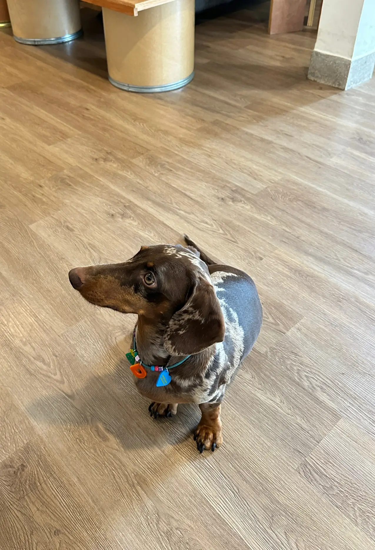 SUMM* coffee & studio | แกลเลอรีที่โพสต์โดย Patcha | Lemon8