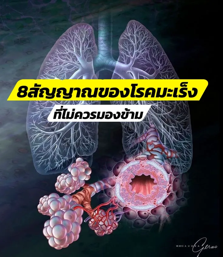 8สัญญาณของโรคมะเร็งที่ไม่ควรมองข้าม | แกลเลอรีที่โพสต์โดย peenoi | Lemon8