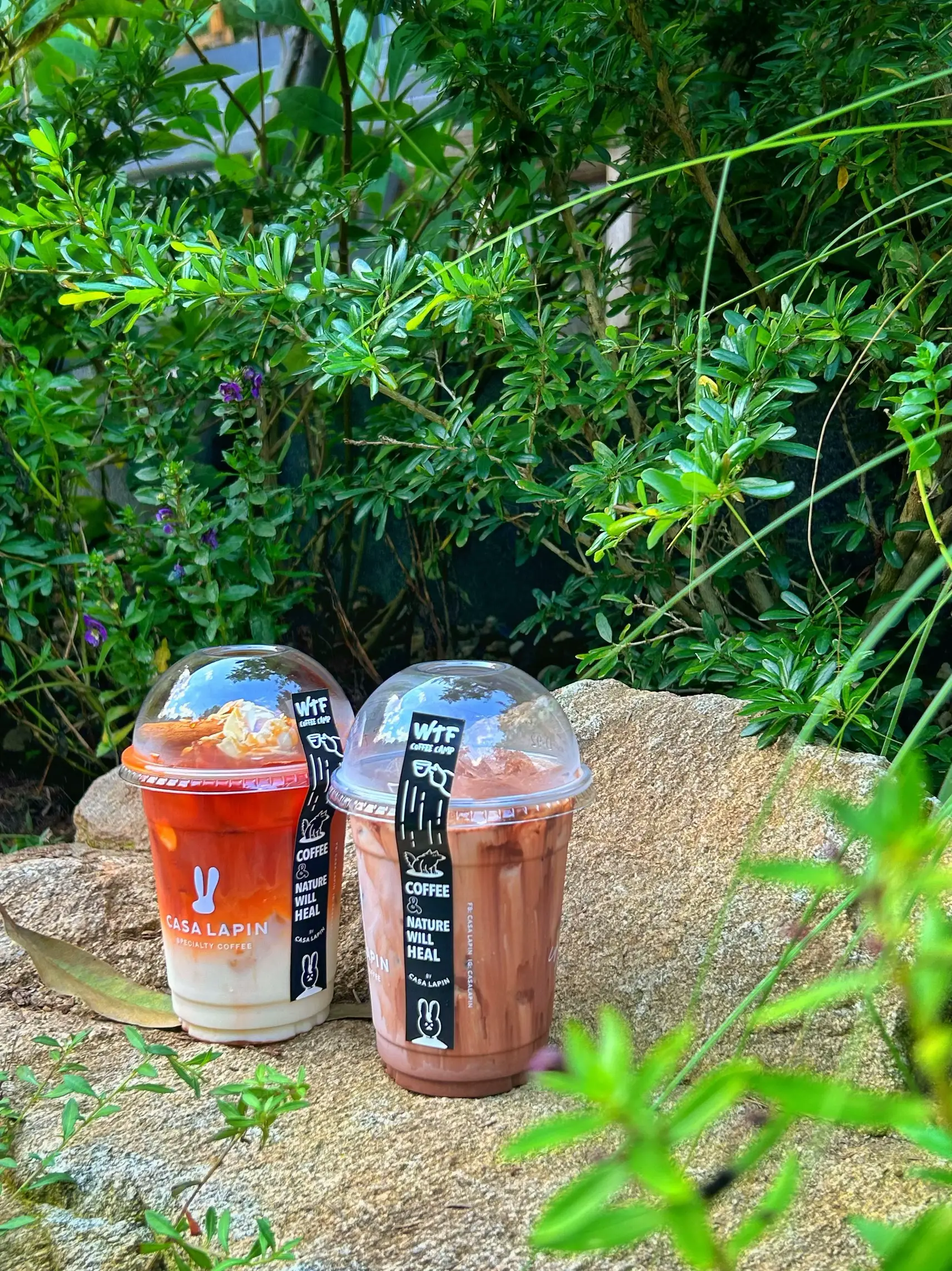 WTF Coffee Camp คาเฟ่ริมน้ำตก แม่ริม เชียงใหม่ | แกลเลอรีที่โพสต์โดย Laya | Lemon8