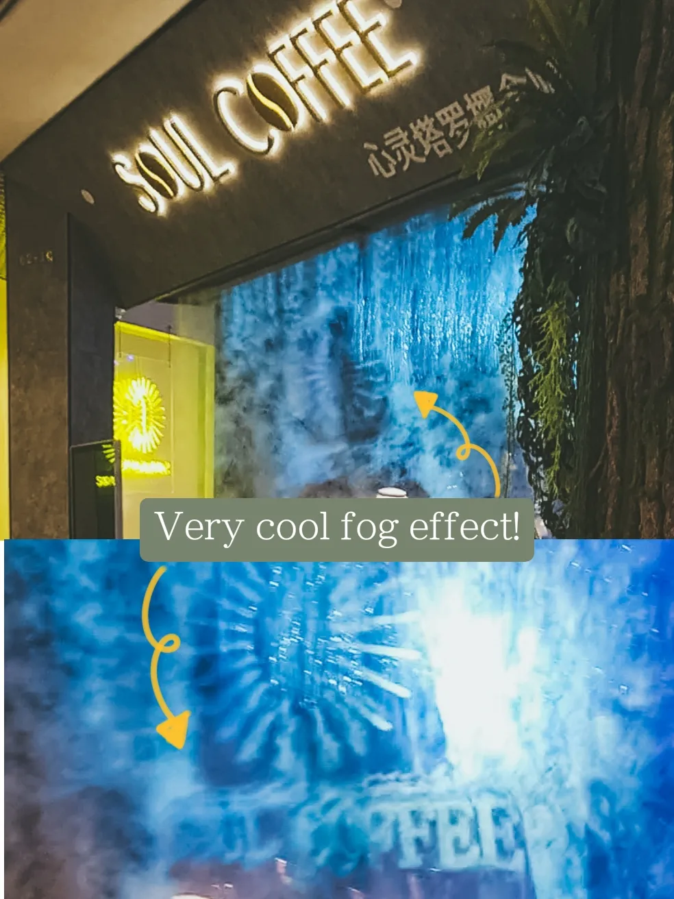 Inside Look: Lemon8 Rising Creator Workshop | แกลเลอรีที่โพสต์โดย uncle chan | Lemon8