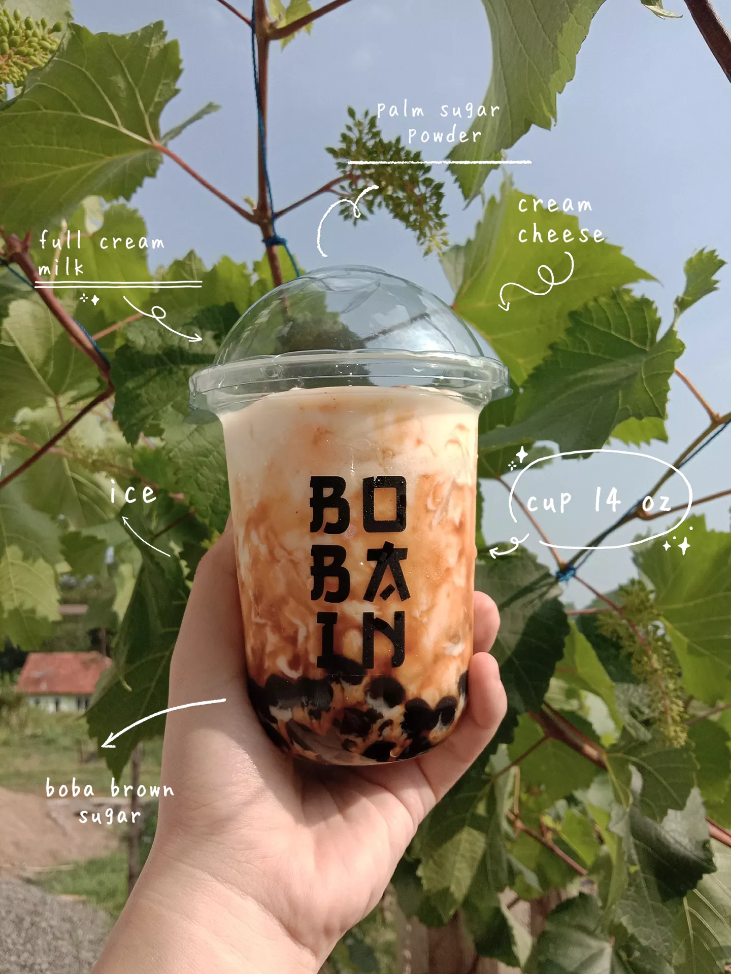 Boba Png - Pencarian Lemon8