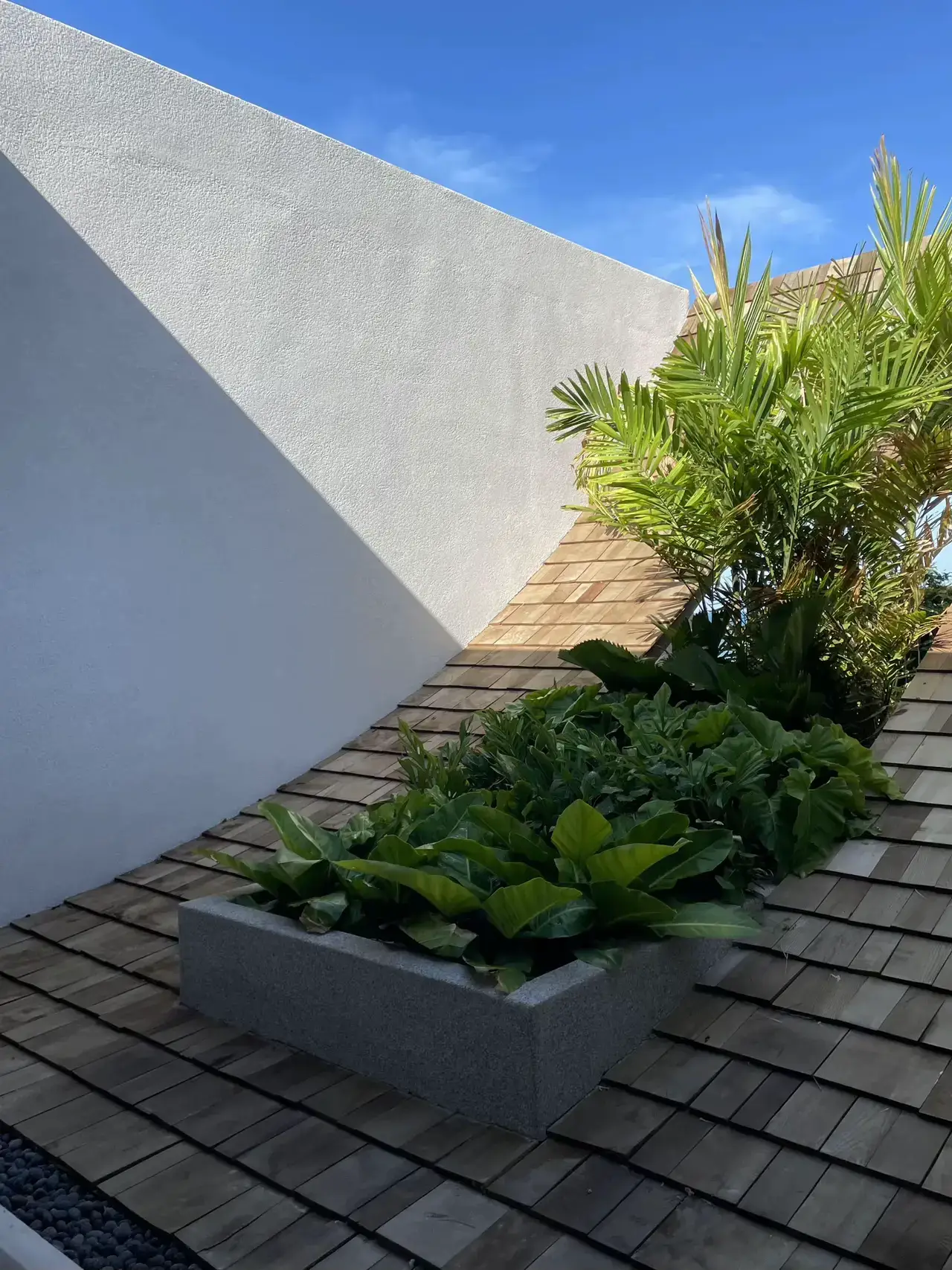 PALYN : คาเฟ่ใหม่แสมสาร สัตหีบ ชลบุรี วิวจึ้งใจยยยย💙🌊 | แกลเลอรีที่ ...