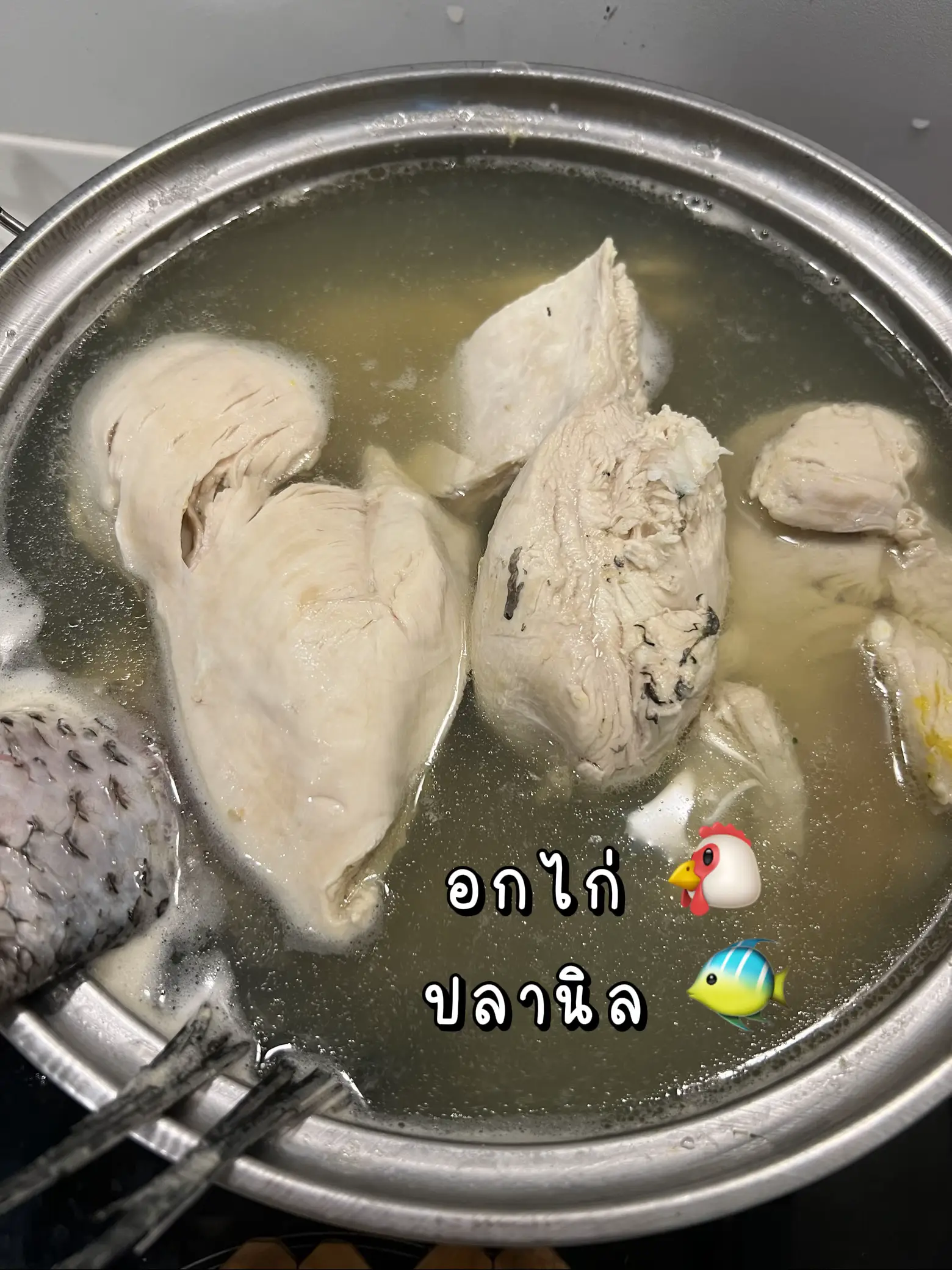 อาหารเปียกแมว😍 | แกลเลอรีที่โพสต์โดย Chompuneg🌸 | Lemon8