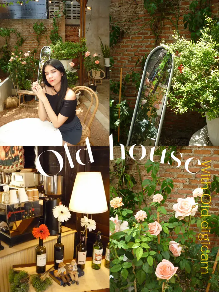 Old house Cafe —@Rayong คาเฟ่บ้านเก่า สายนักชอบดอกไม้ 🌹 | แกลเลอรีที่ ...