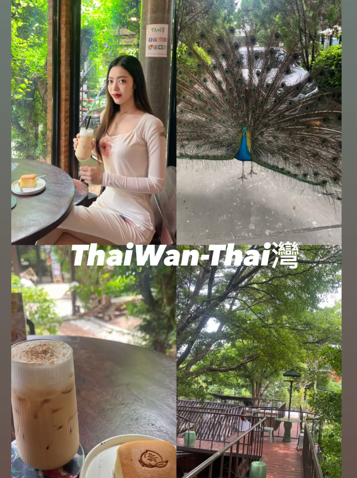 ThaiWan-Thai灣 | แกลเลอรีที่โพสต์โดย Pafaii🧡 | Lemon8