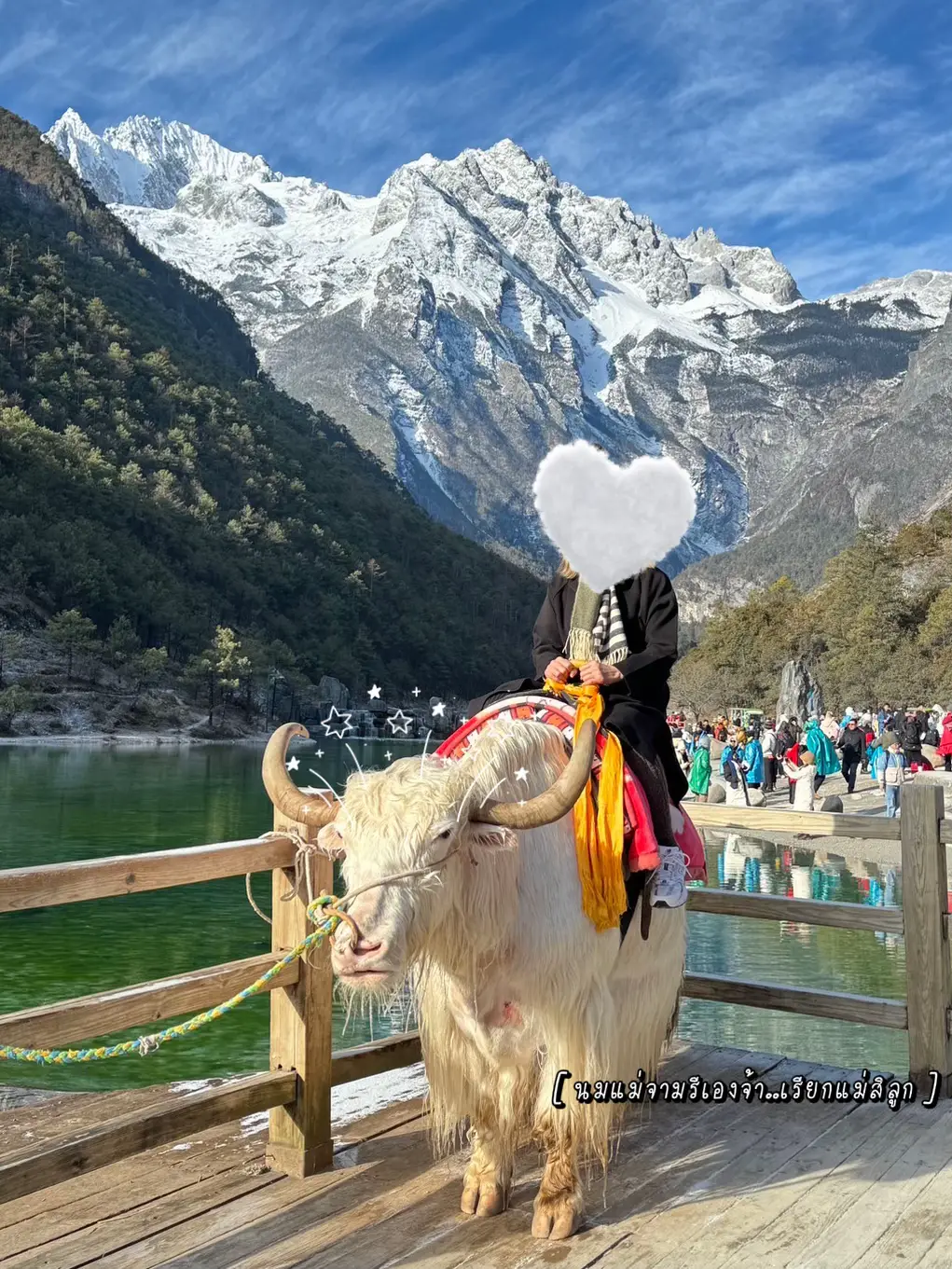 โยเกิร์ตชีส นมจามรี 🇨🇳 | แกลเลอรีที่โพสต์โดย wt.mlletnr | Lemon8