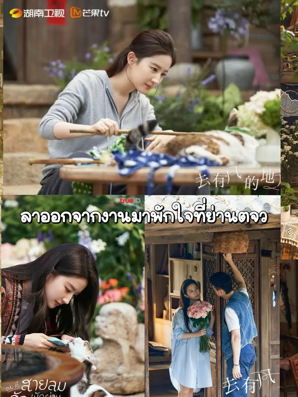 Harry Potter มีกี่ภาค | 2024 ประสบการณ์ผู้ใช้จริงบน Lemon8